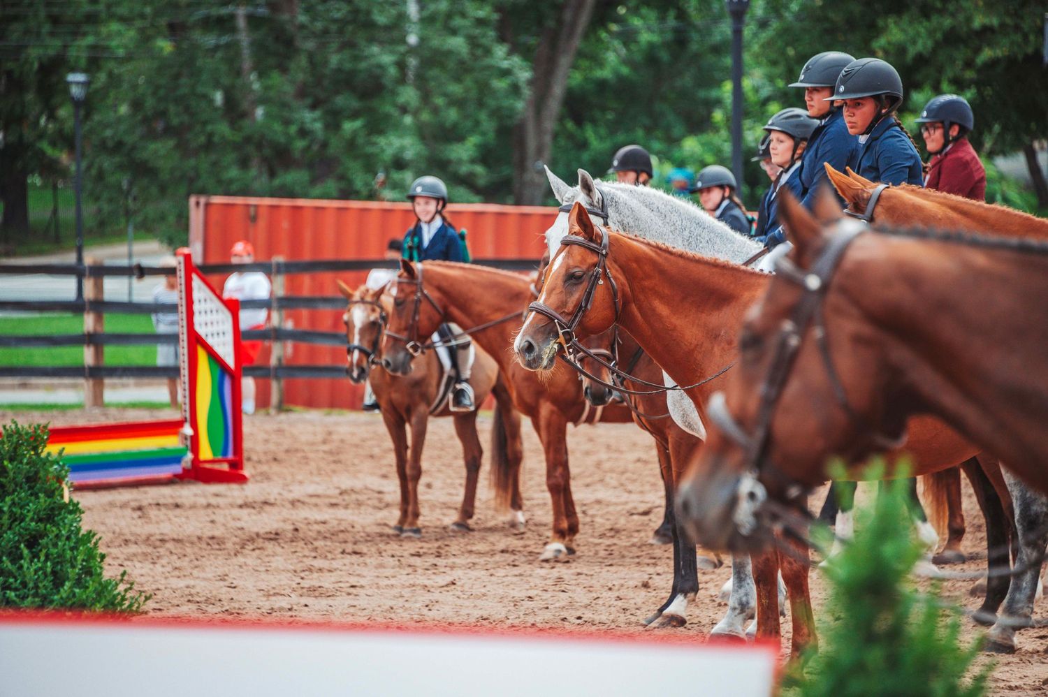 Horse Shows - MJ Photographics - Halifax Photography