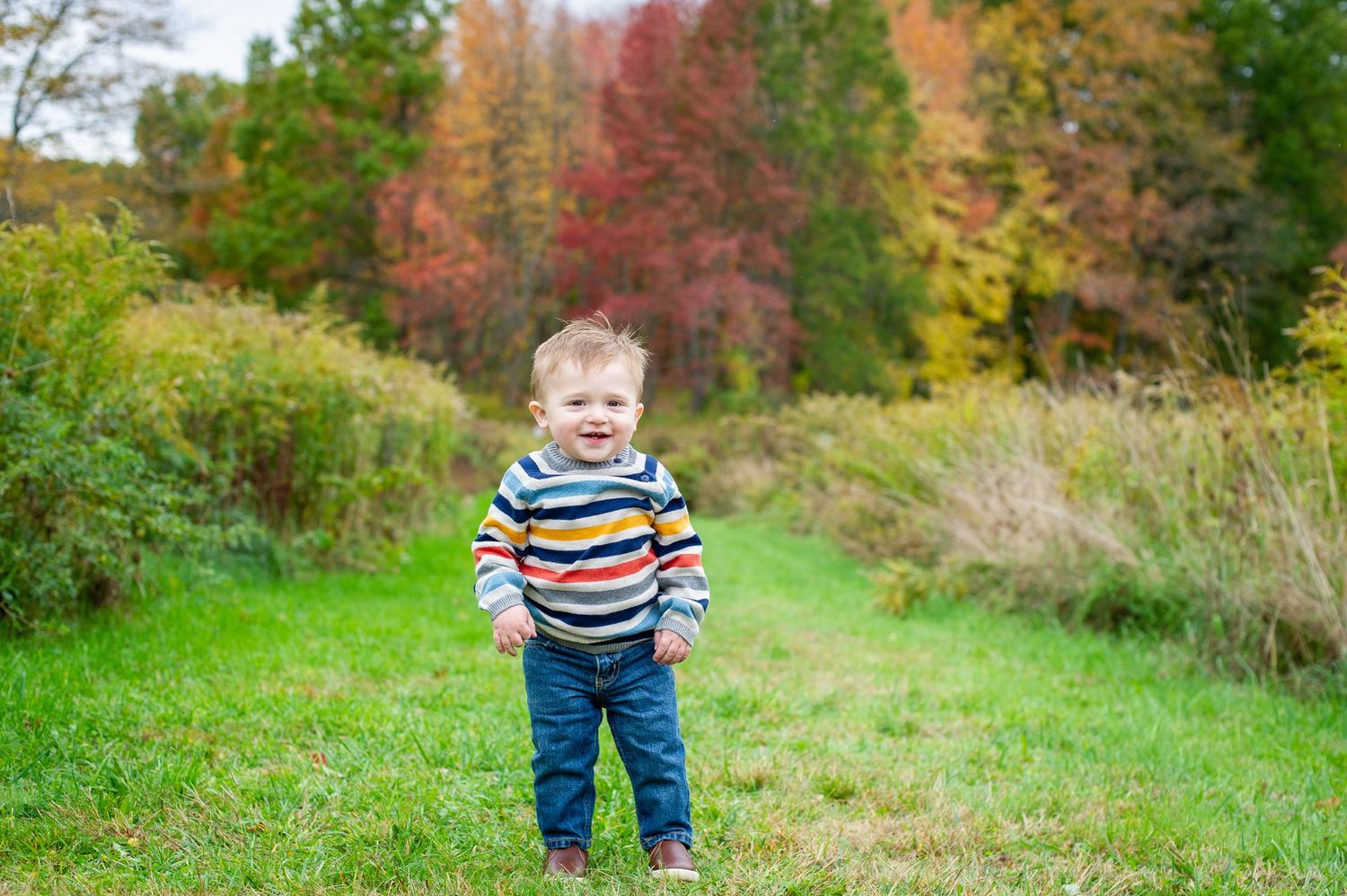 Portfolio - Catherine Patterson Photography | Branding + Family ...