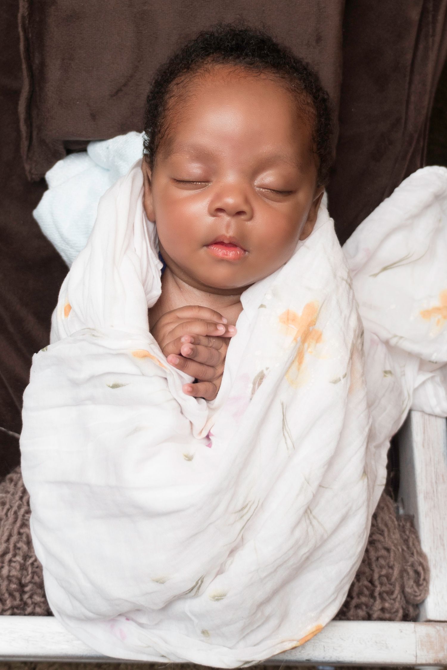 Investment - Cuddle Captures