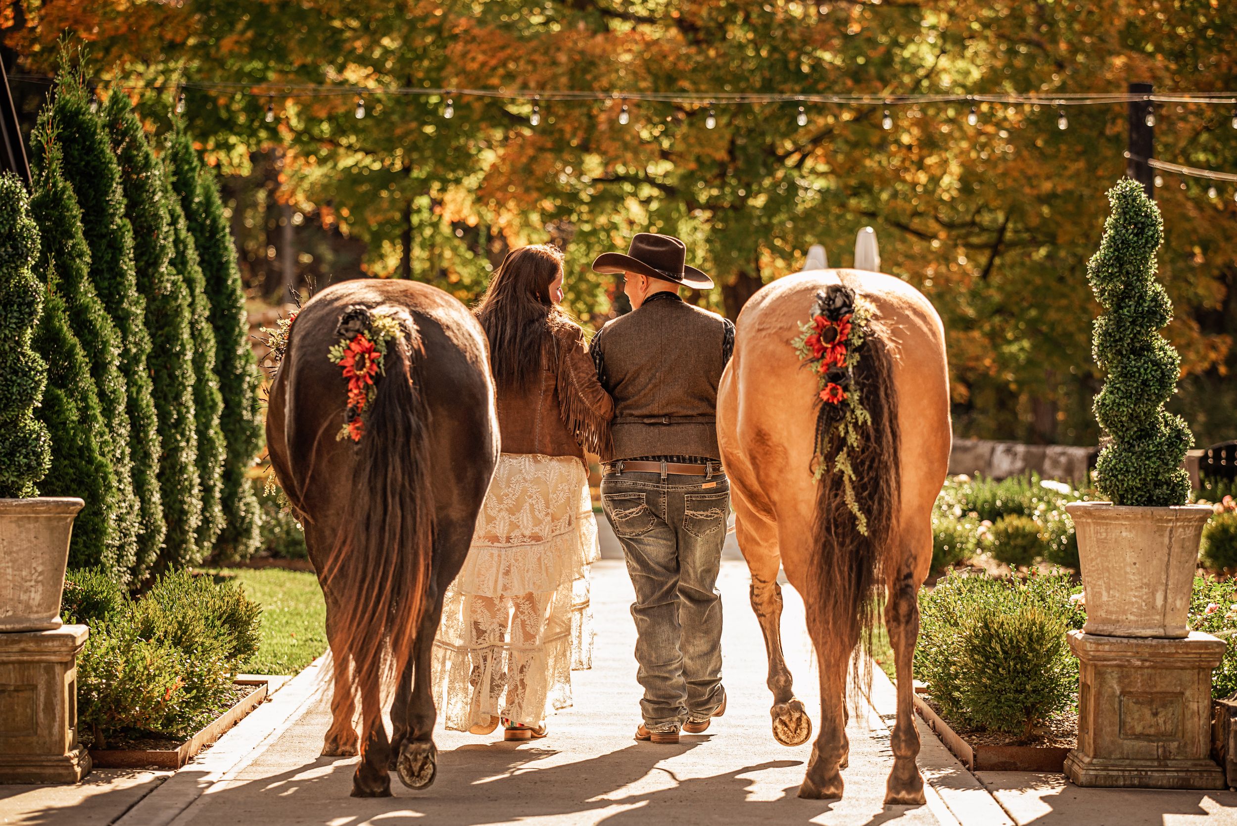 Fox Trot Photography