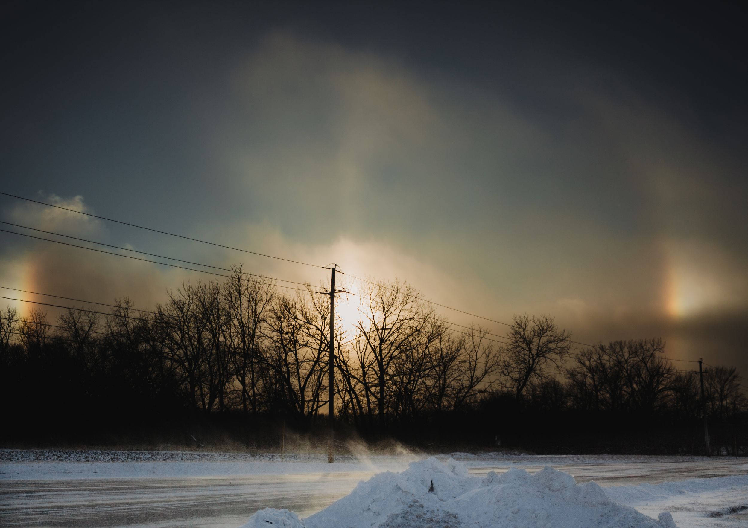 Nature Photography - Donna Fazio - Photographer