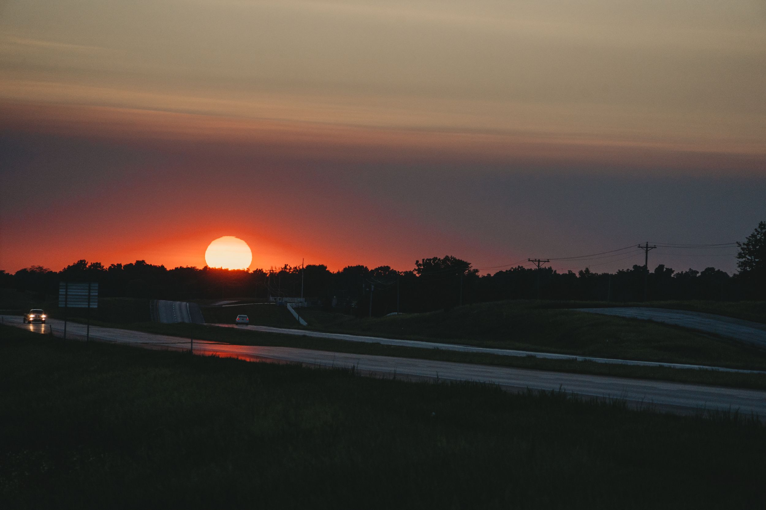 Nature Photography - Donna Fazio - Photographer