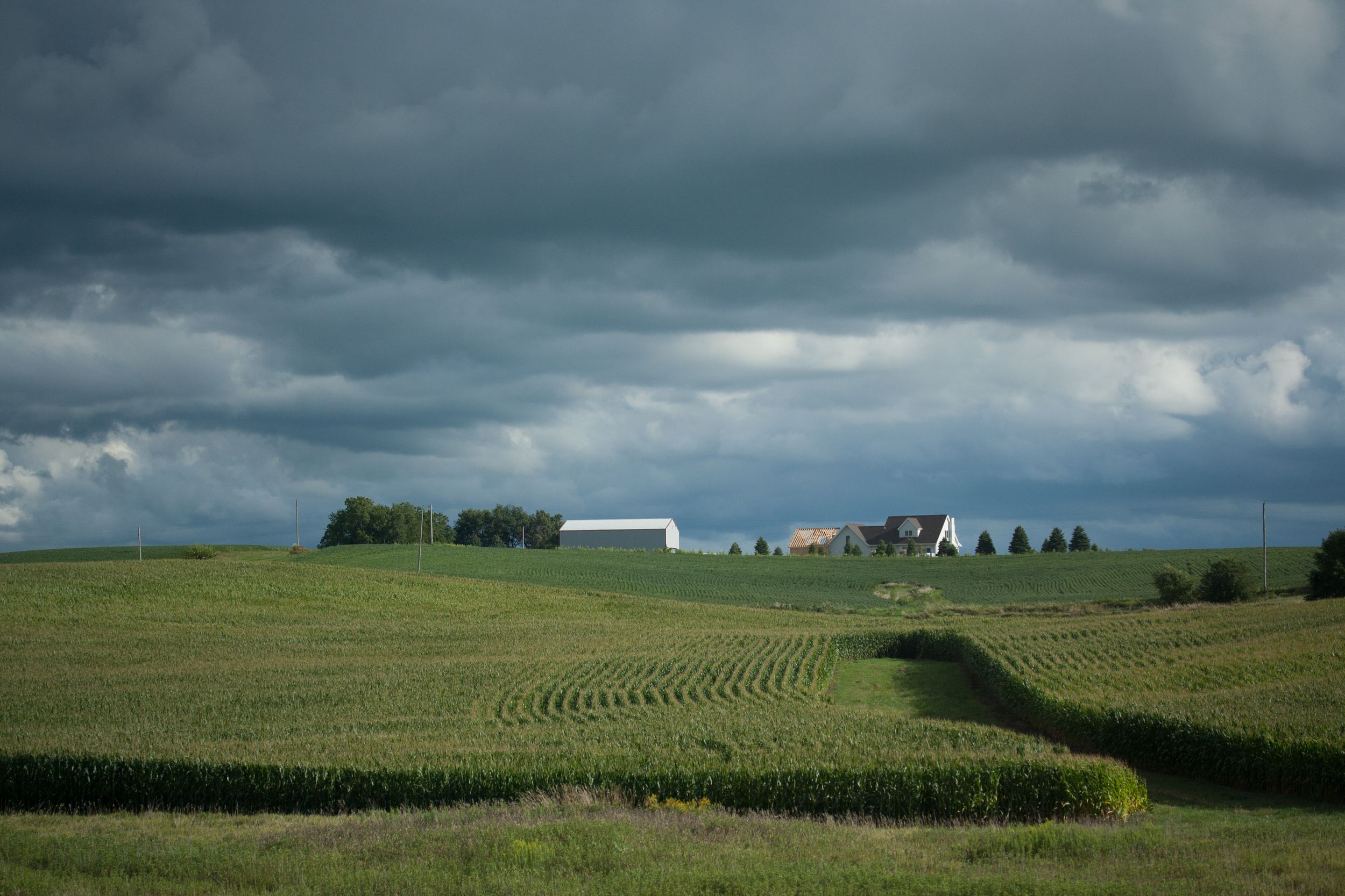 Nature Photography - Donna Fazio - Photographer