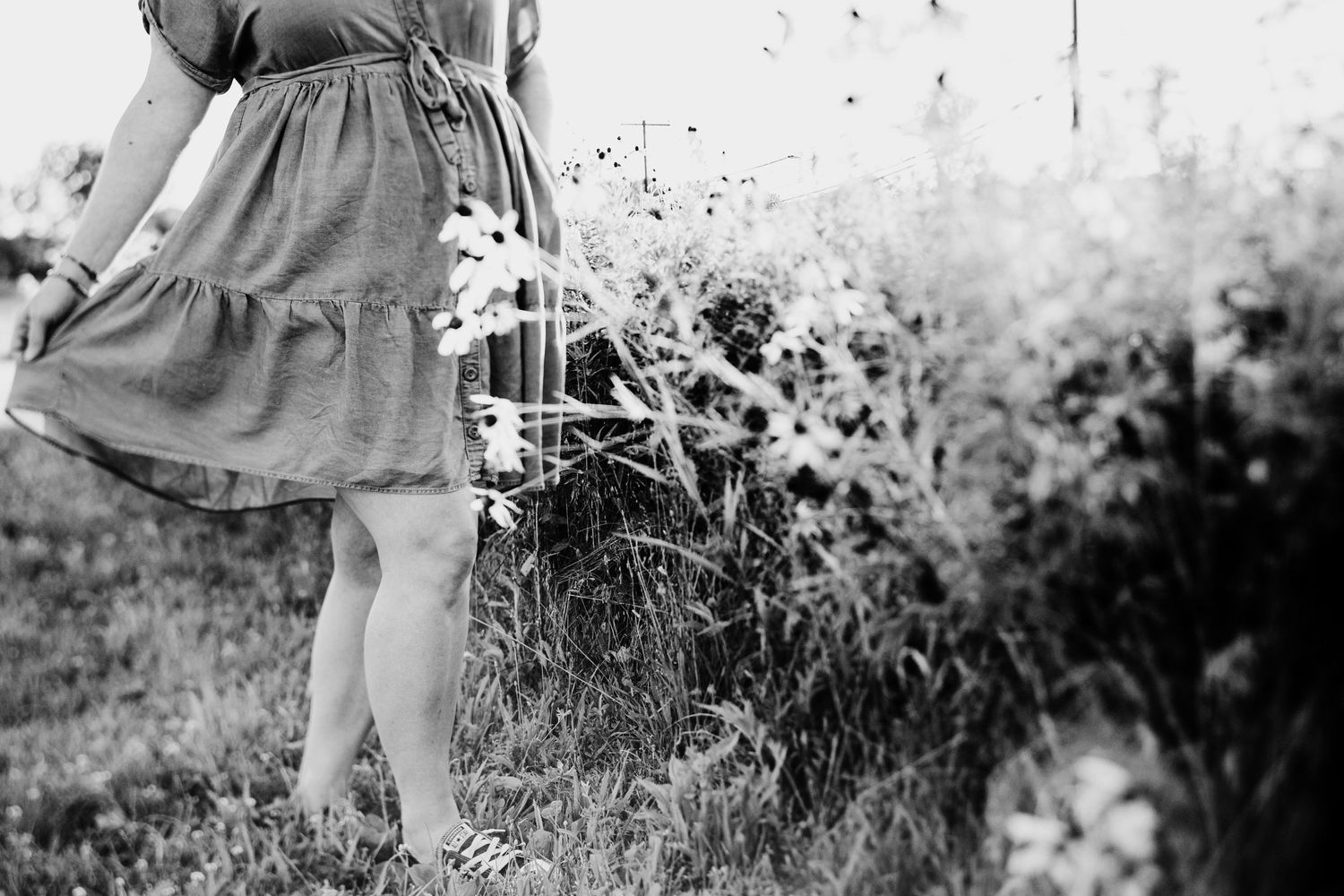 Client Area - Jennifer Schall Photography