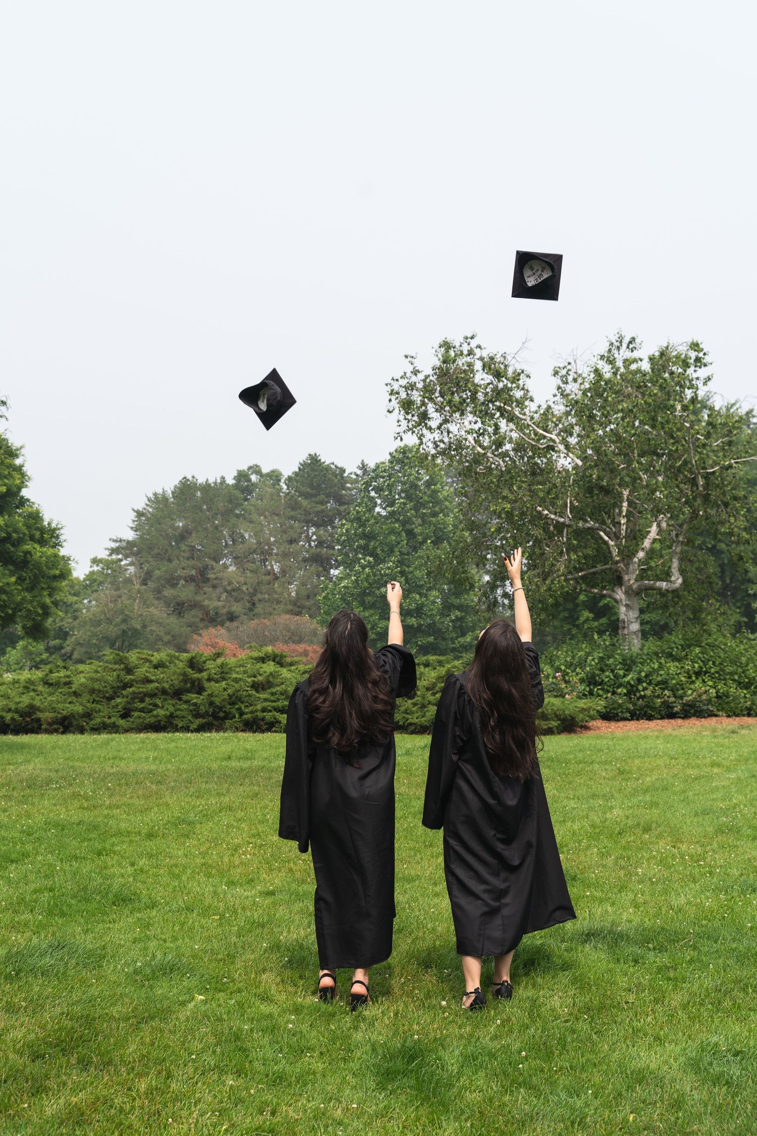 Contact - Sean Shim Photography