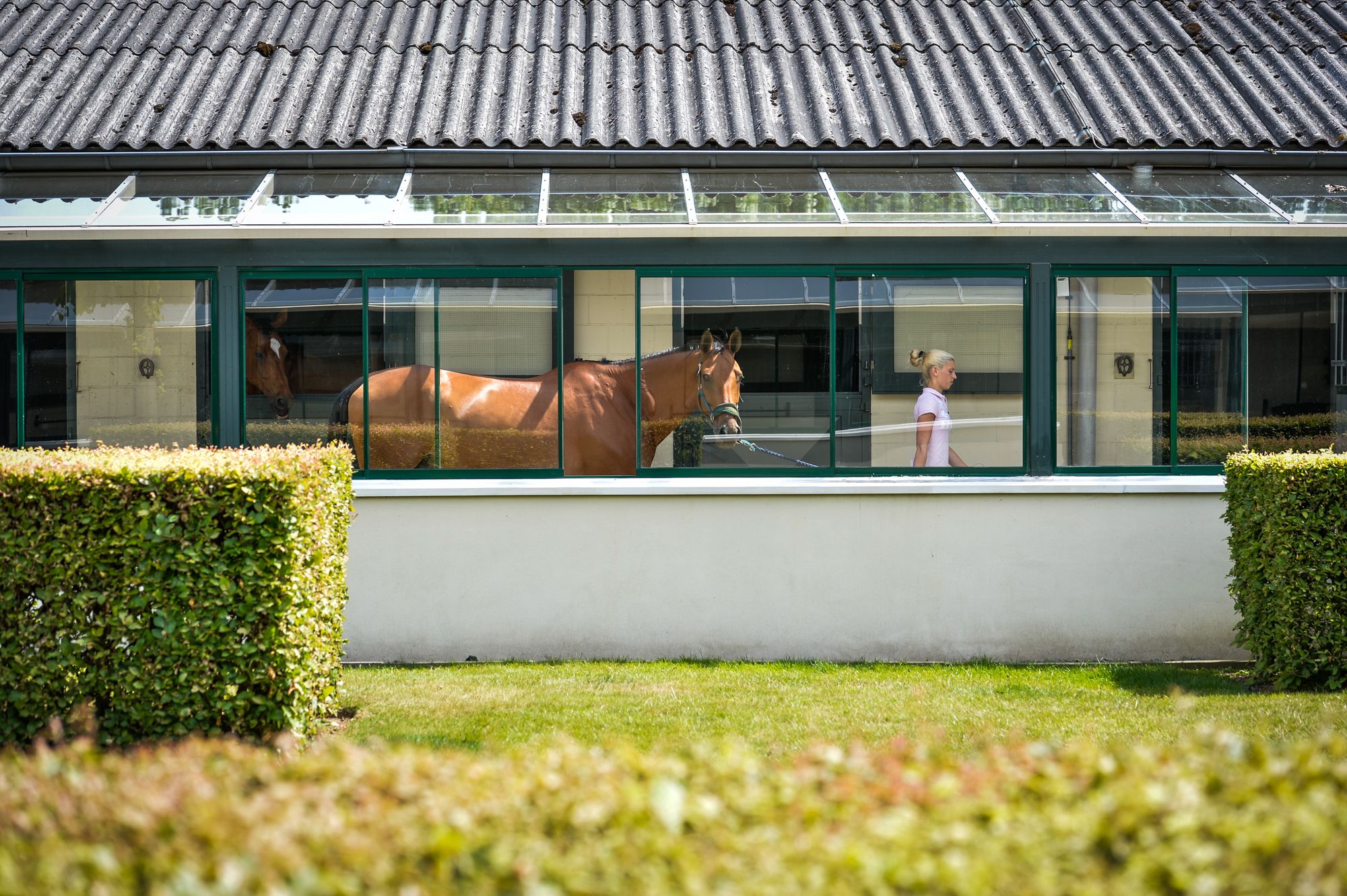 Stables - Erin Gilmore Photography