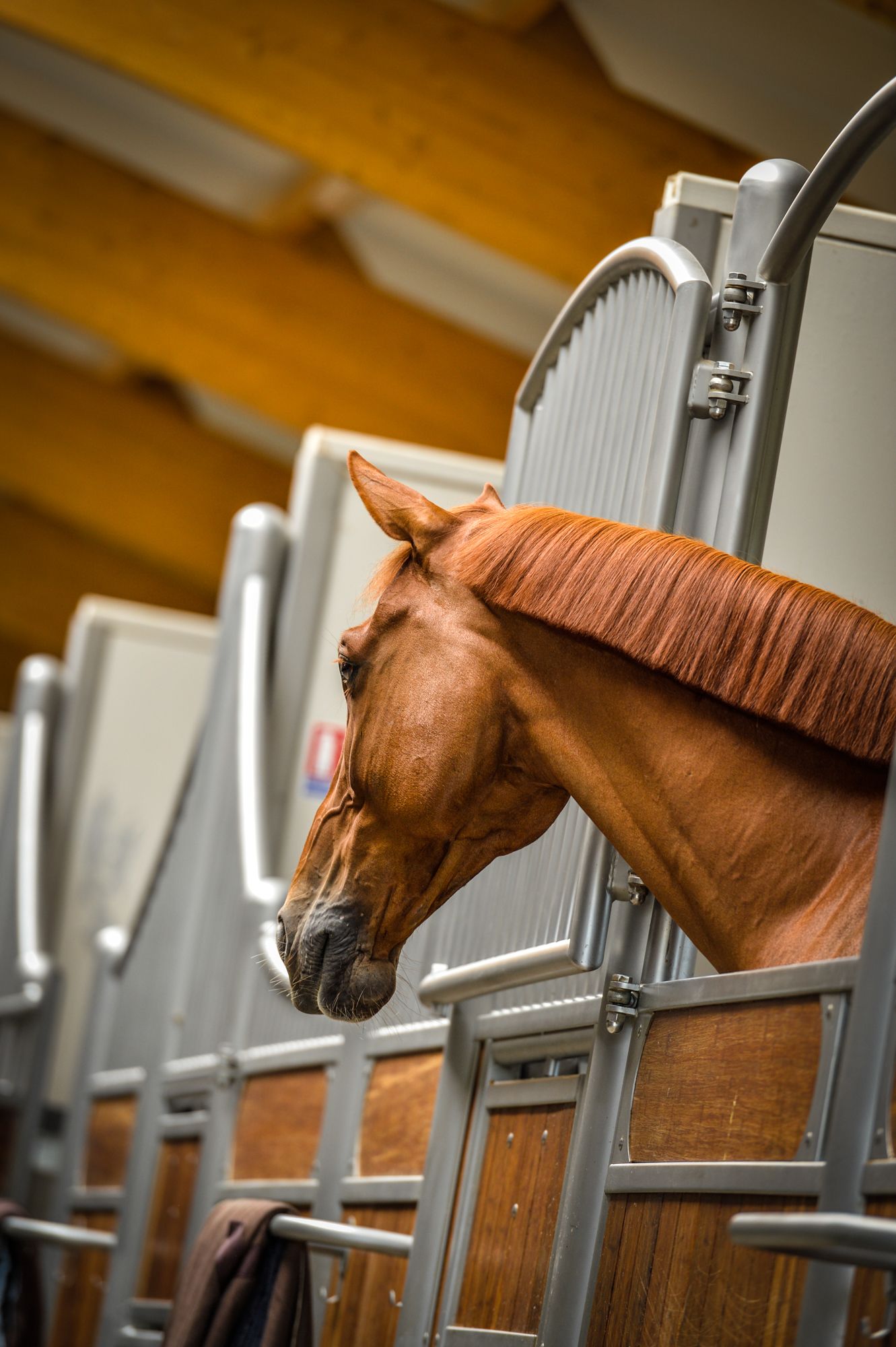 Stables - Erin Gilmore Photography
