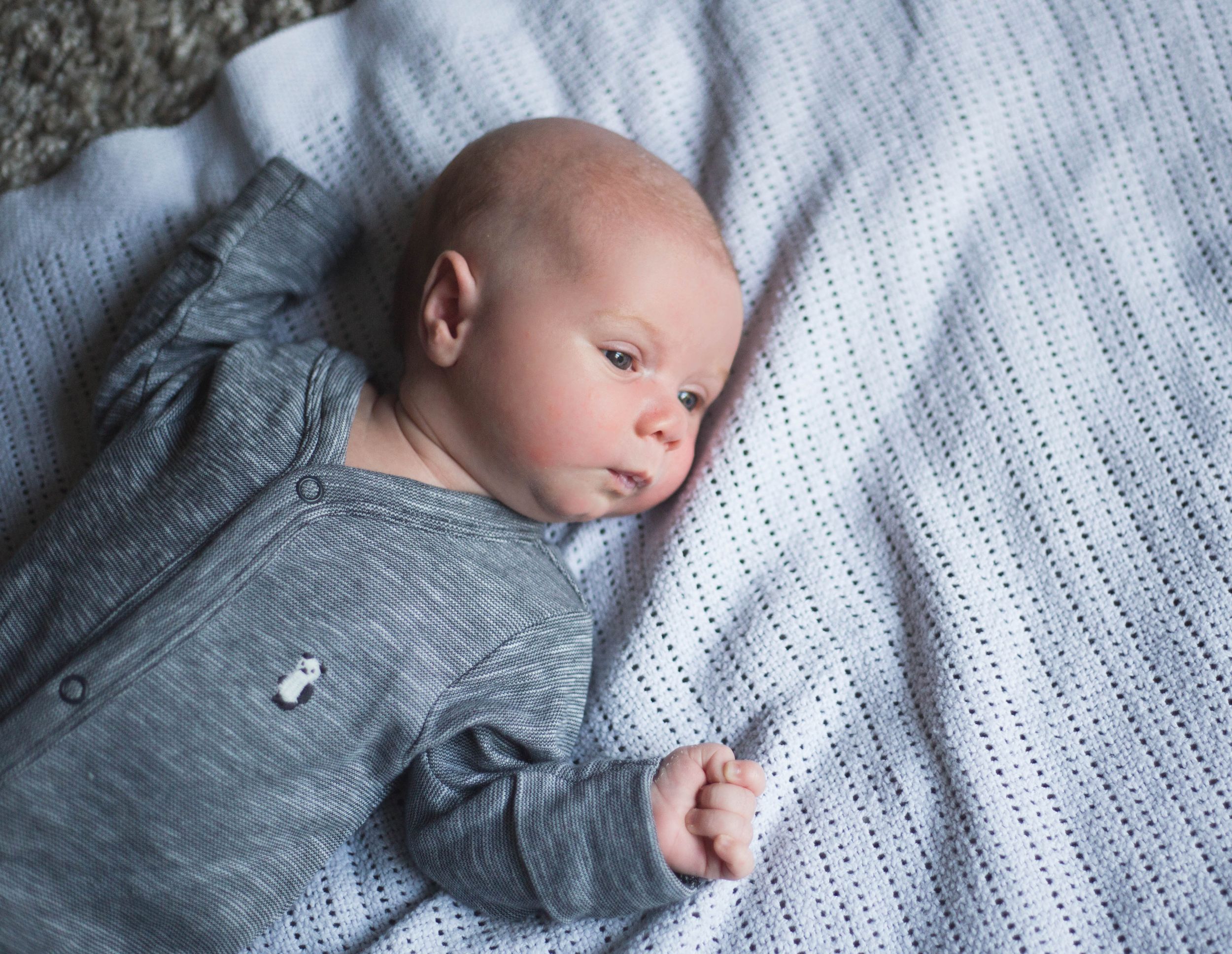 8 week old baby boy at home in Buckhurst Hill | East London newborn ...