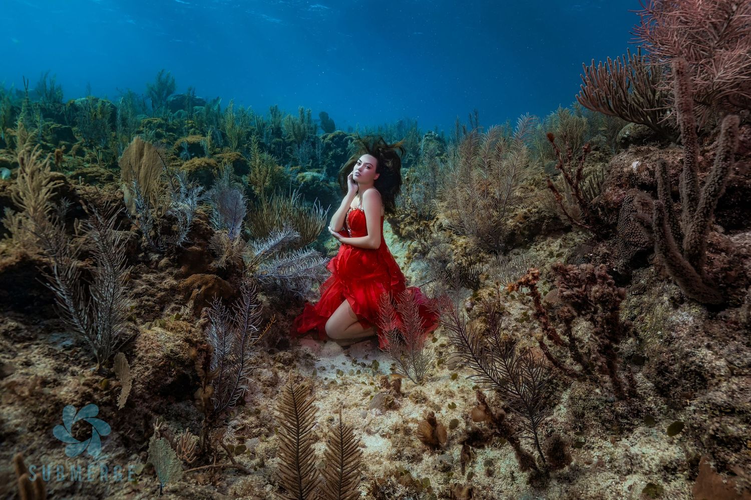 Contact - Underwater Photography & Travel Photography - Submerge