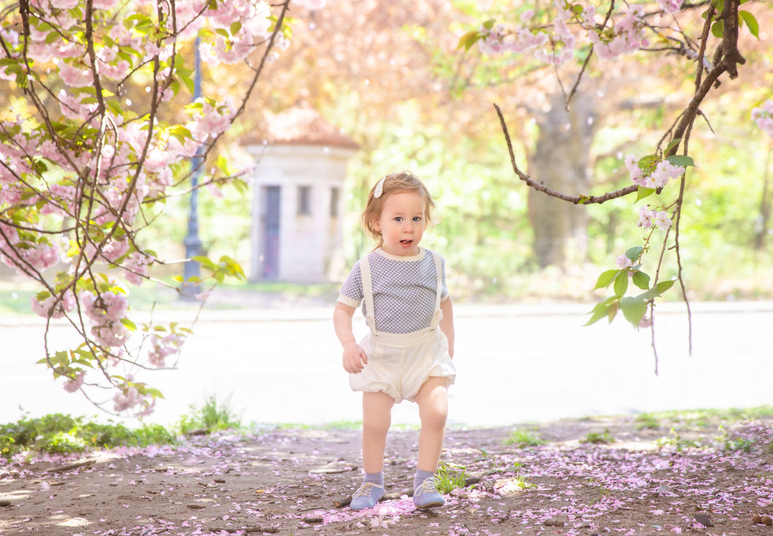 Shaindy’s Photography