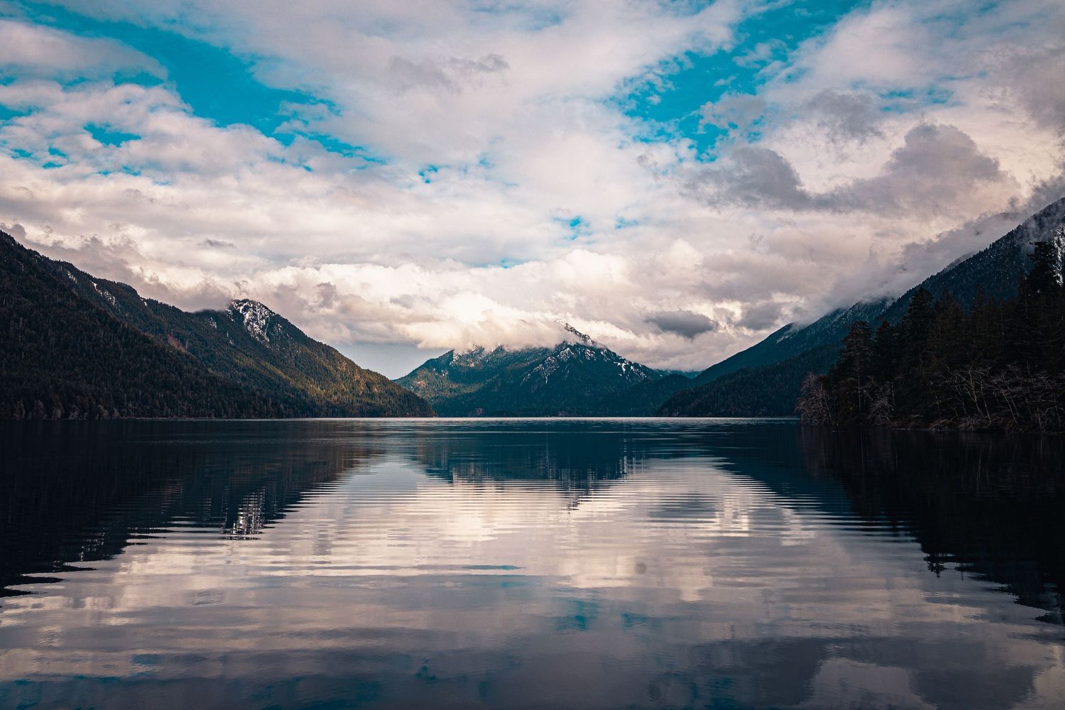 About Me - Obsidian Lens Media