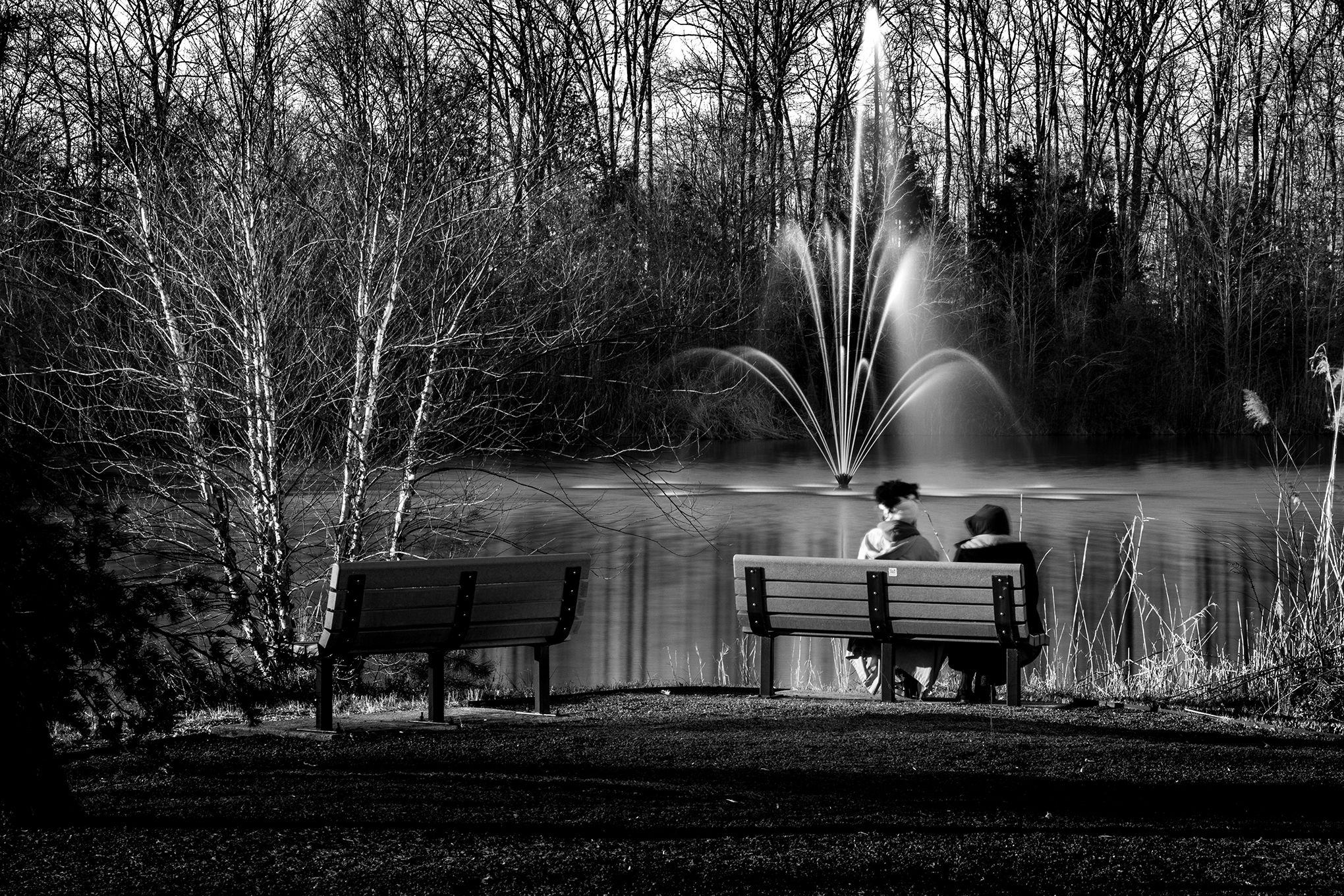 7 Tips For Black & White Photography - Patricia Zyzyk Photography