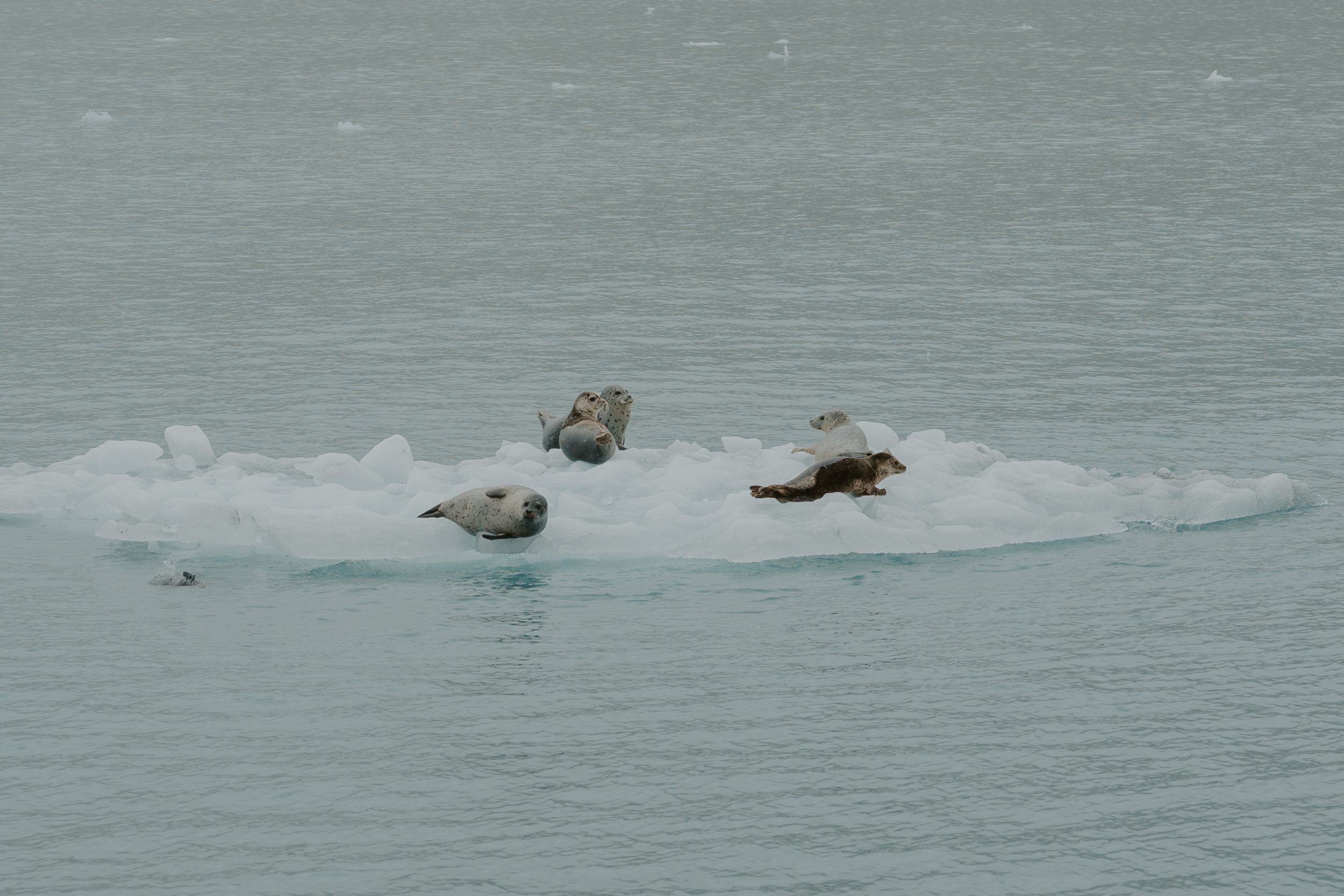 Brittany Young Photo