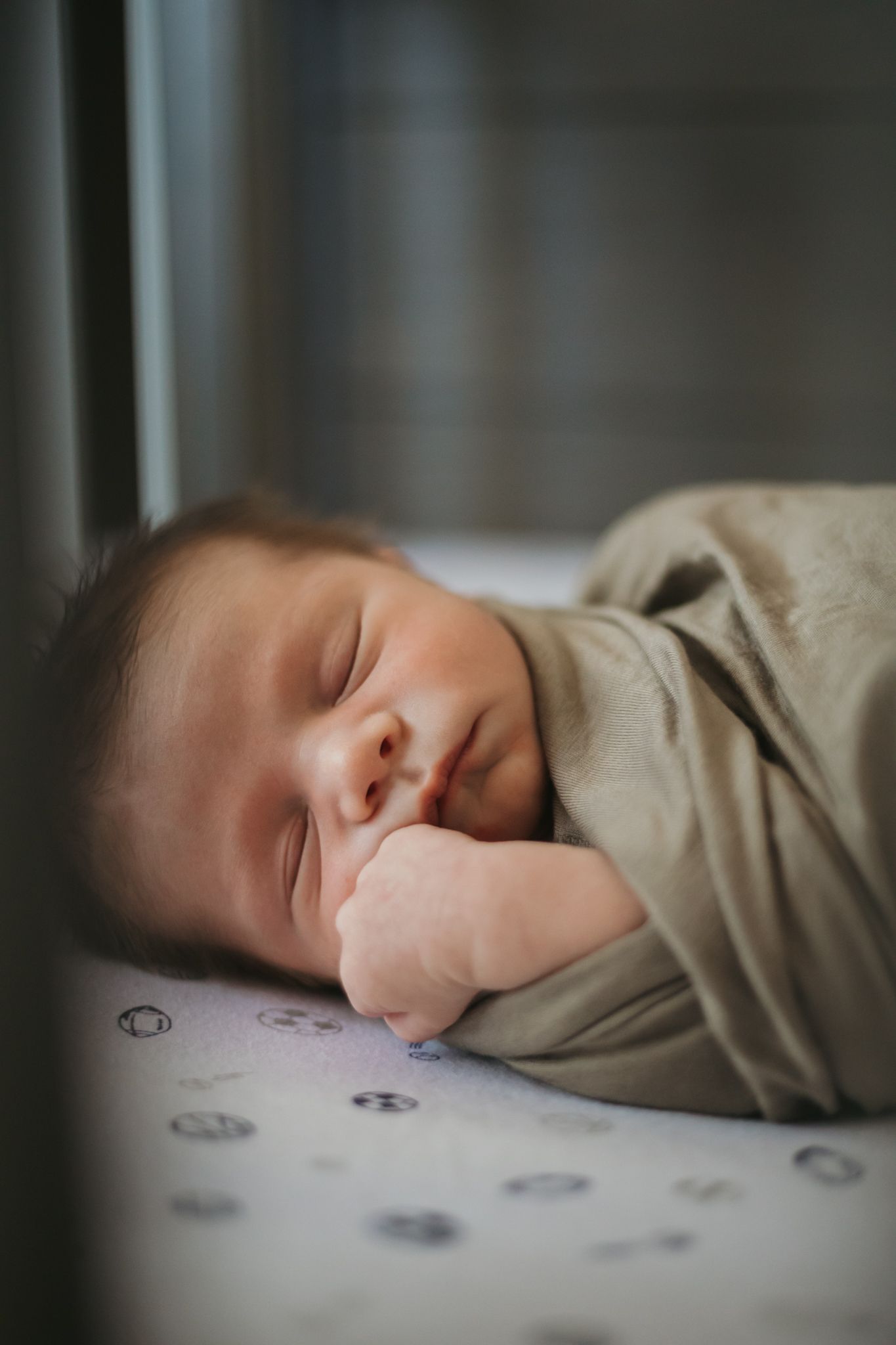 The Babies - Danielle Haydon Photography