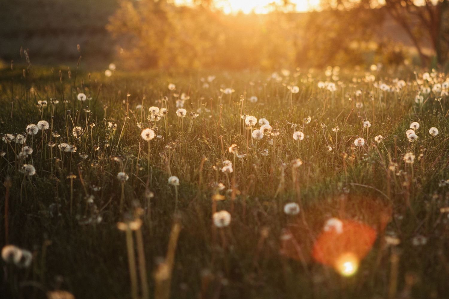 Contact - Carpenter Handcrafted