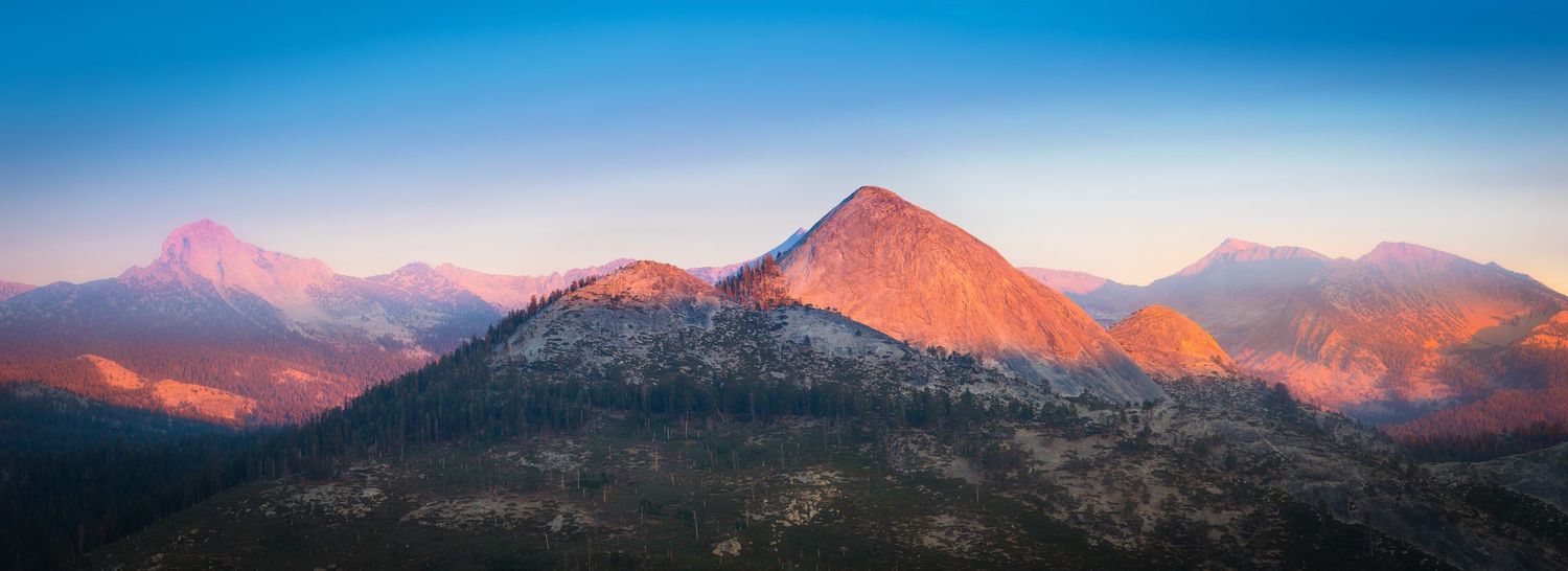 Portfolio - Daniel Chui Photography