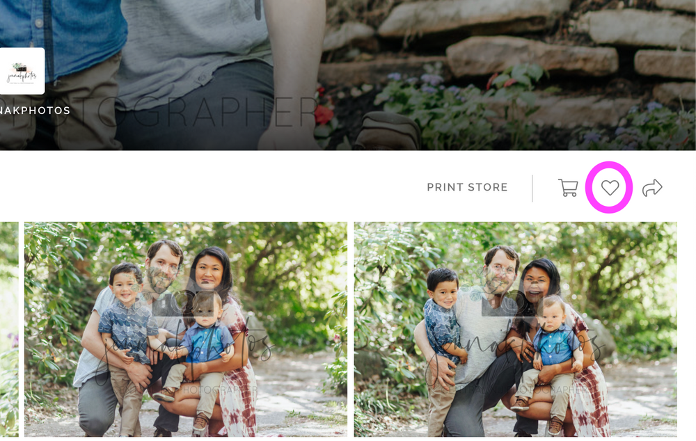 Picking Out Your Favorite Photos - JENNAKPHOTOS, NJ Photographer ...
