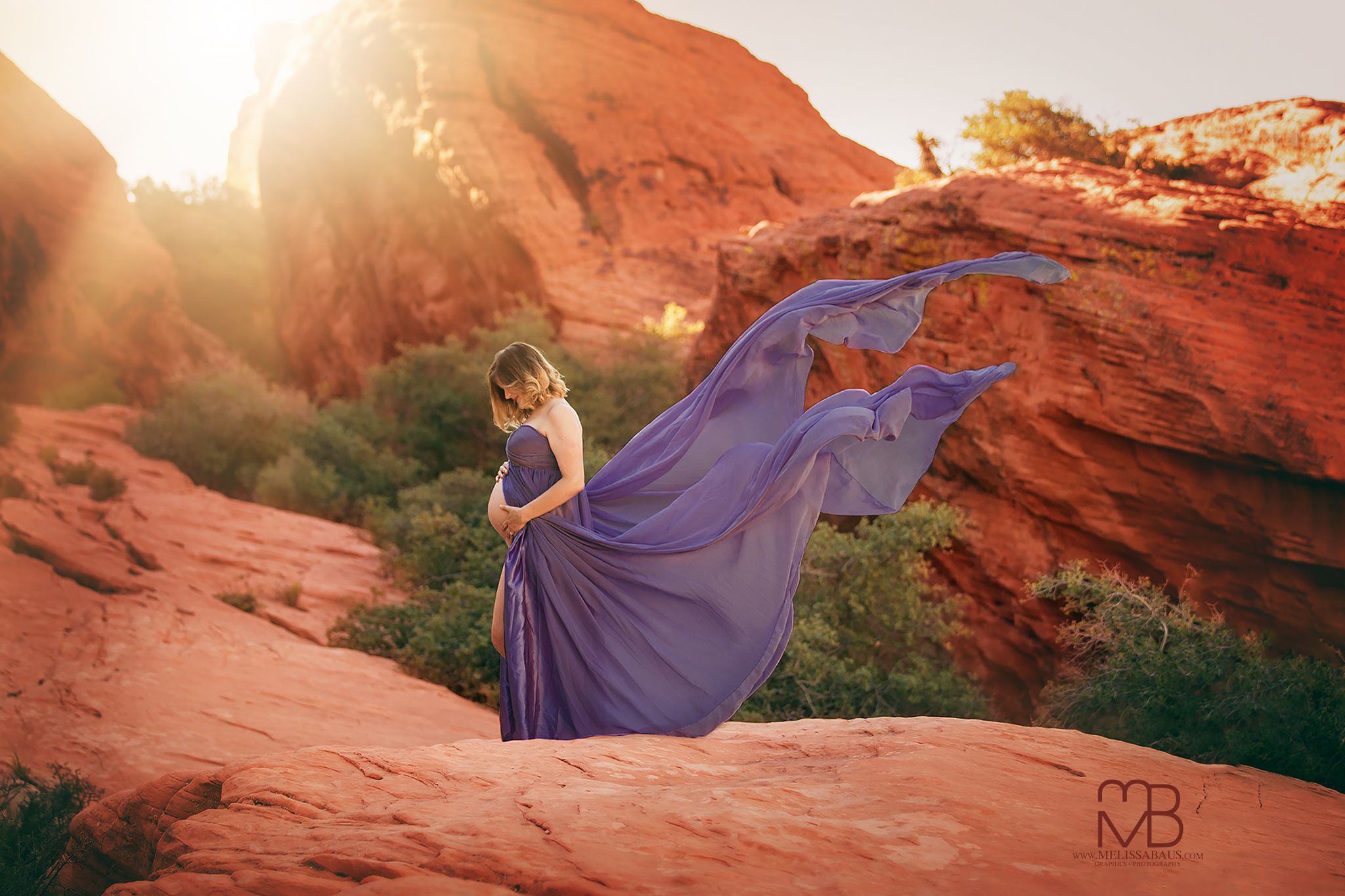 Portrait Sessions - Melissa Baus Design - Fine Art Equine, Wedding ...