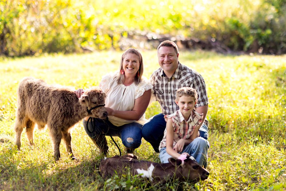 DigitalMyst Photography Cow Mini Photo Sessions - DigitalMyst Photography