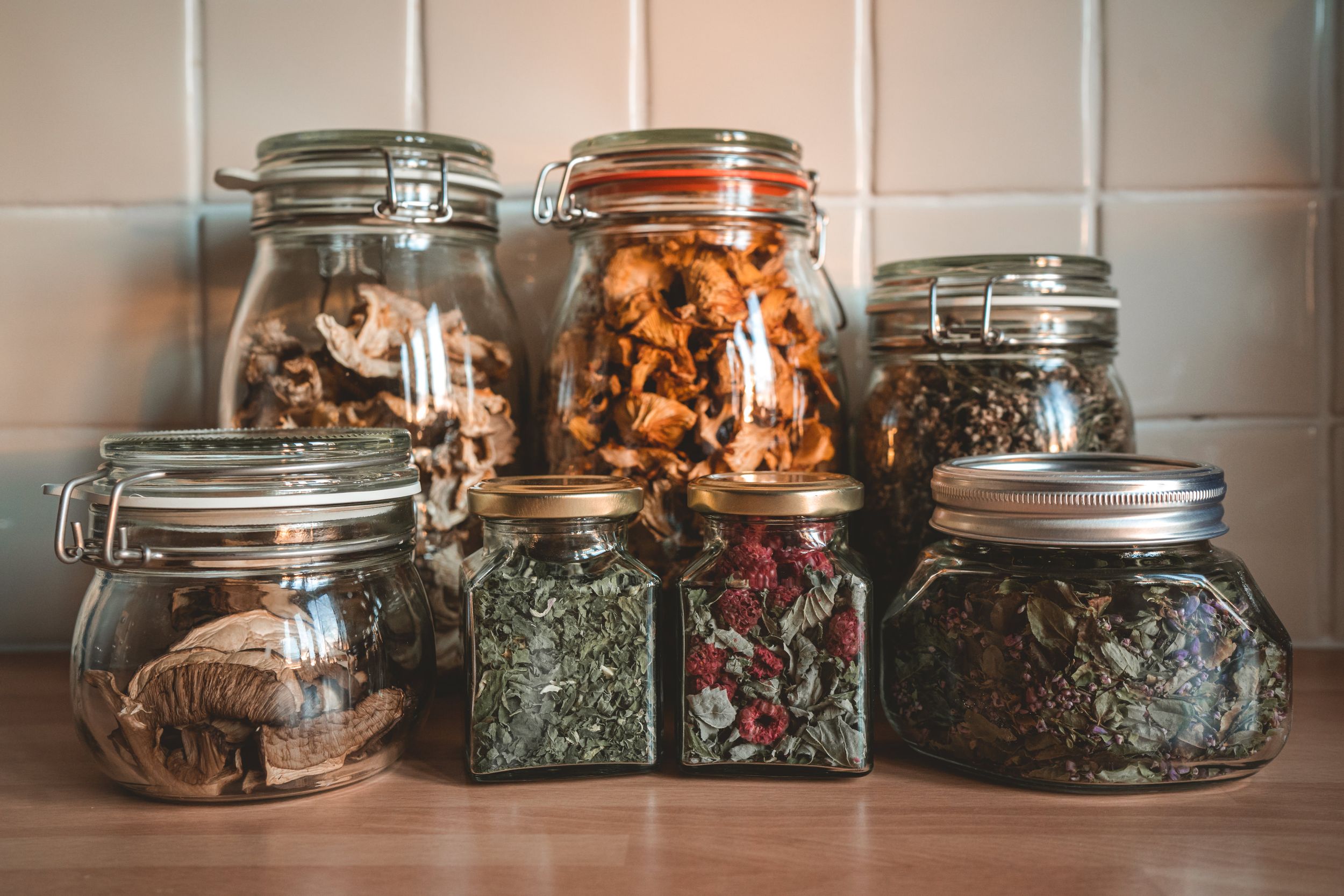 Foraging Equipment Essentials - The Grizzly Forager: The Definitive ...