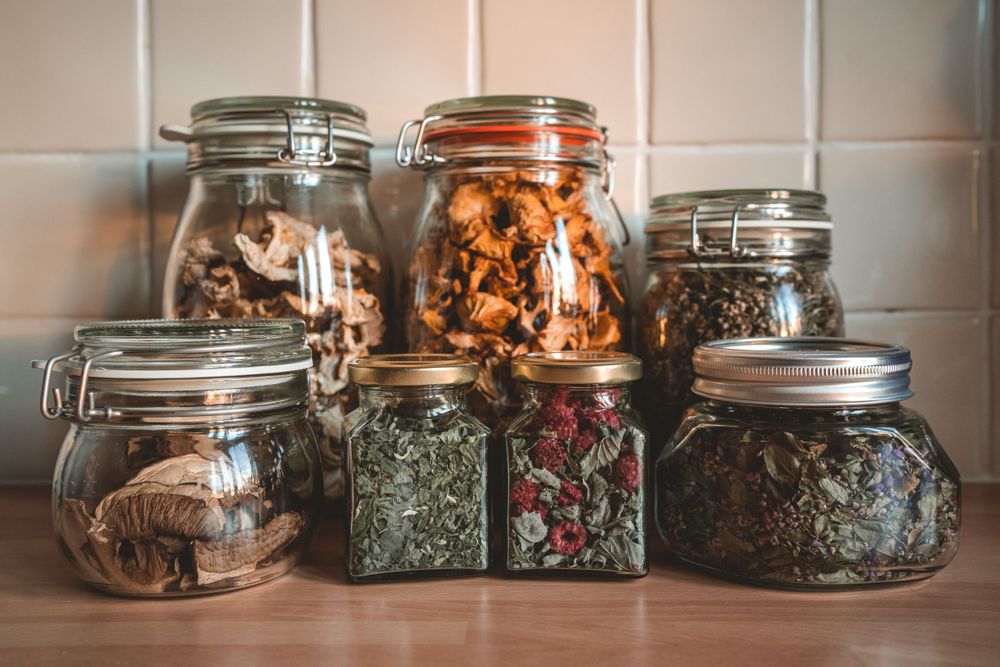 Foraging Equipment Essentials - The Grizzly Forager: The Definitive ...