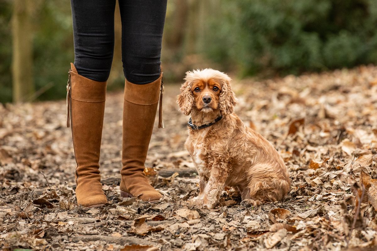 Kate & Ruby - Imogen Moon ABIPP - Equine & Dog Photographer In Derbyshire
