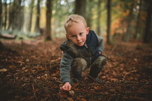Foraging & Natural Education - The Grizzly Forager: The Definitive ...