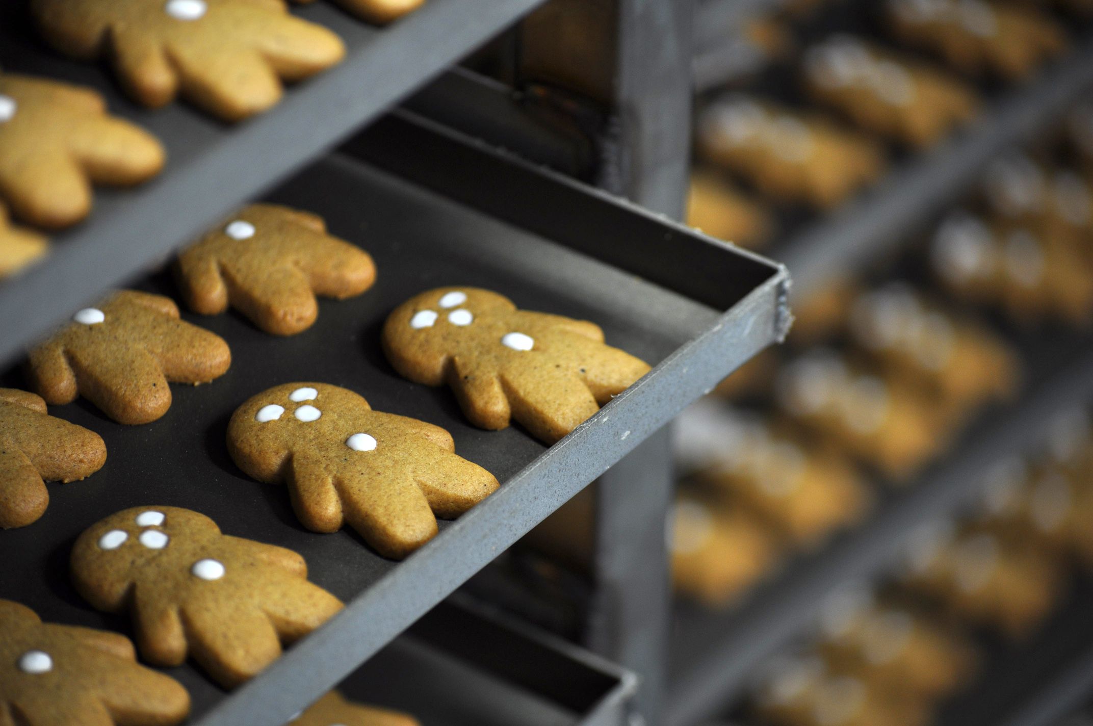 Blue Razoo - Adelaide Professional Photographer