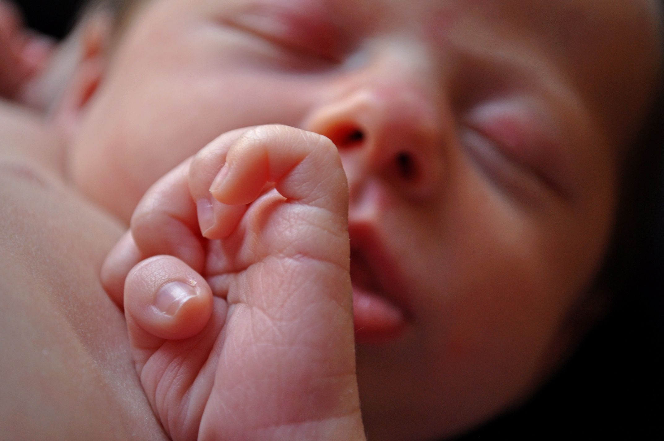 Blue Razoo - Adelaide Professional Photographer