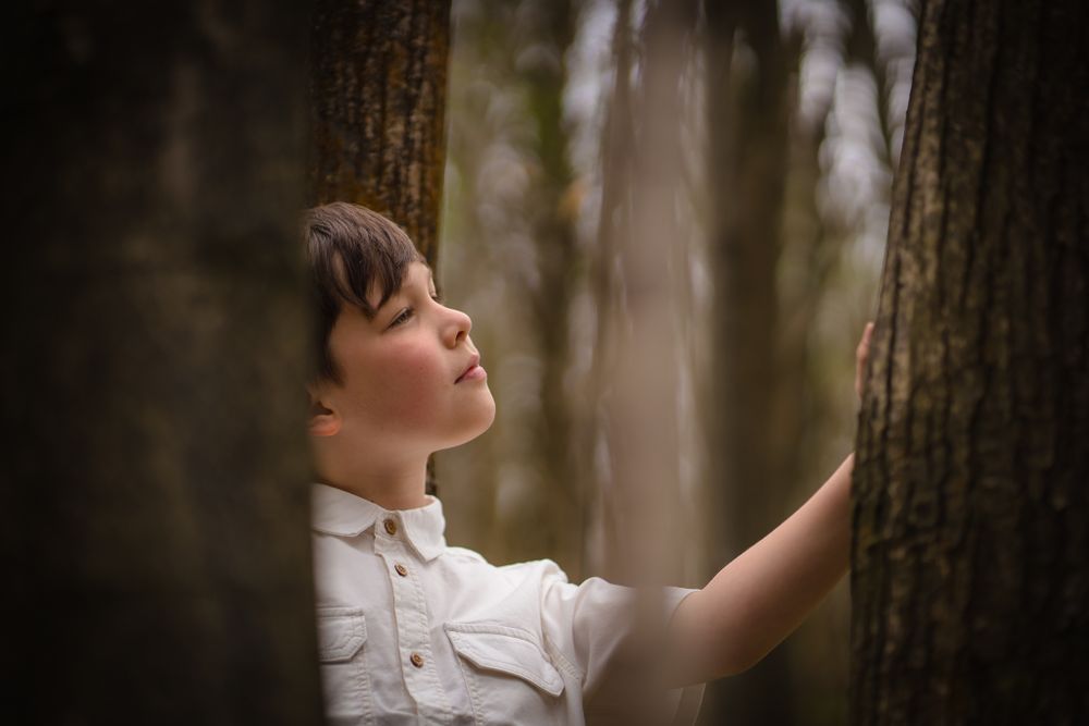 Bluebells - Samantha Taylor Photography