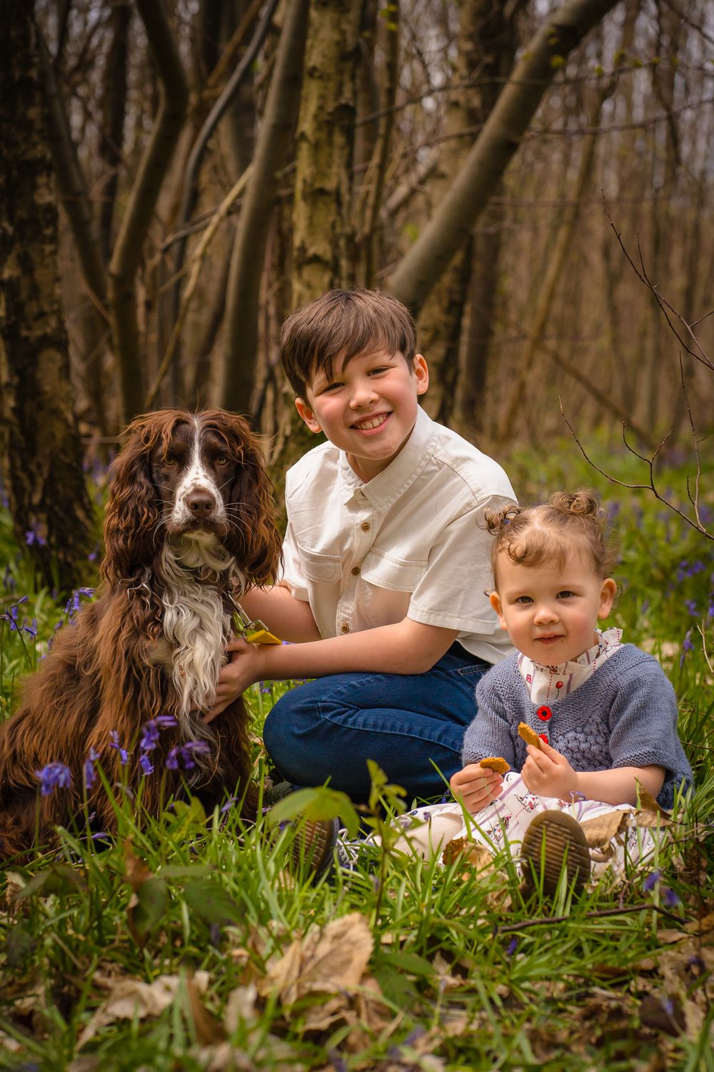 Bluebells - Samantha Taylor Photography
