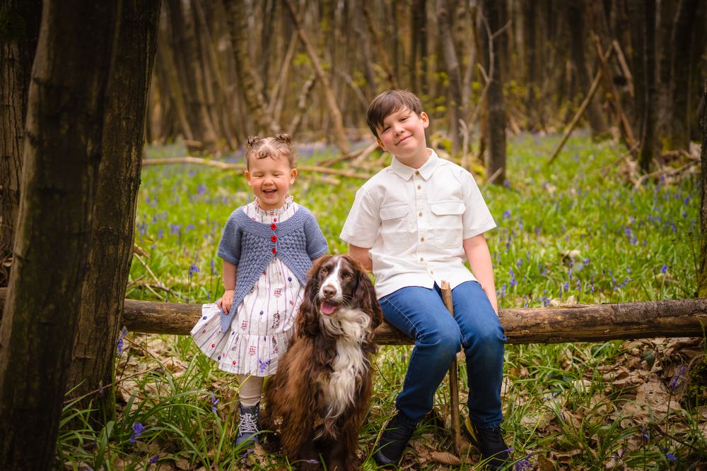 Bluebells - Samantha Taylor Photography