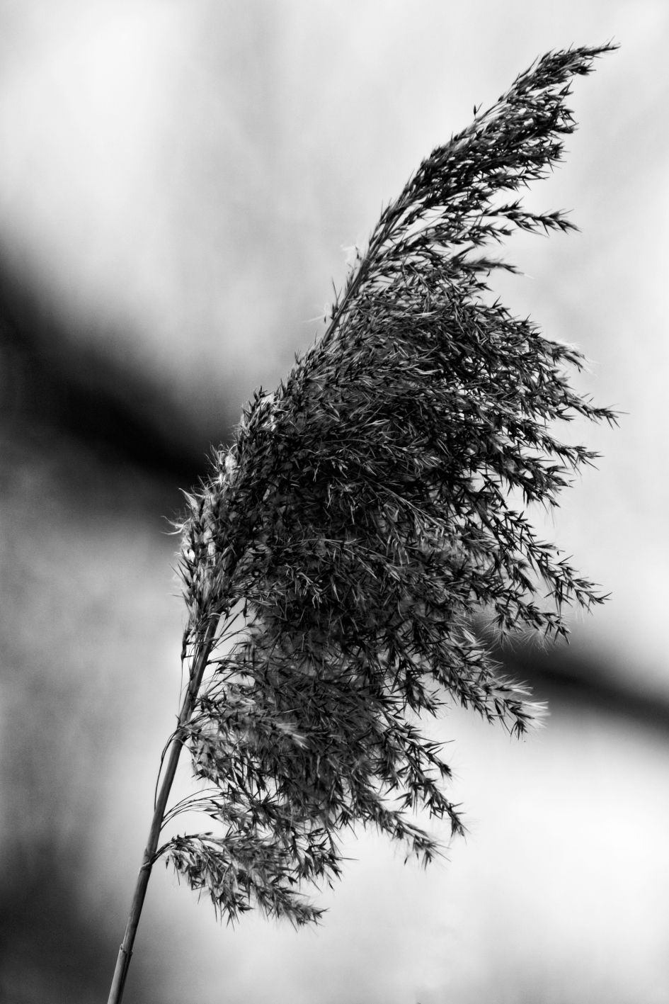 About - Jon Madison Photography