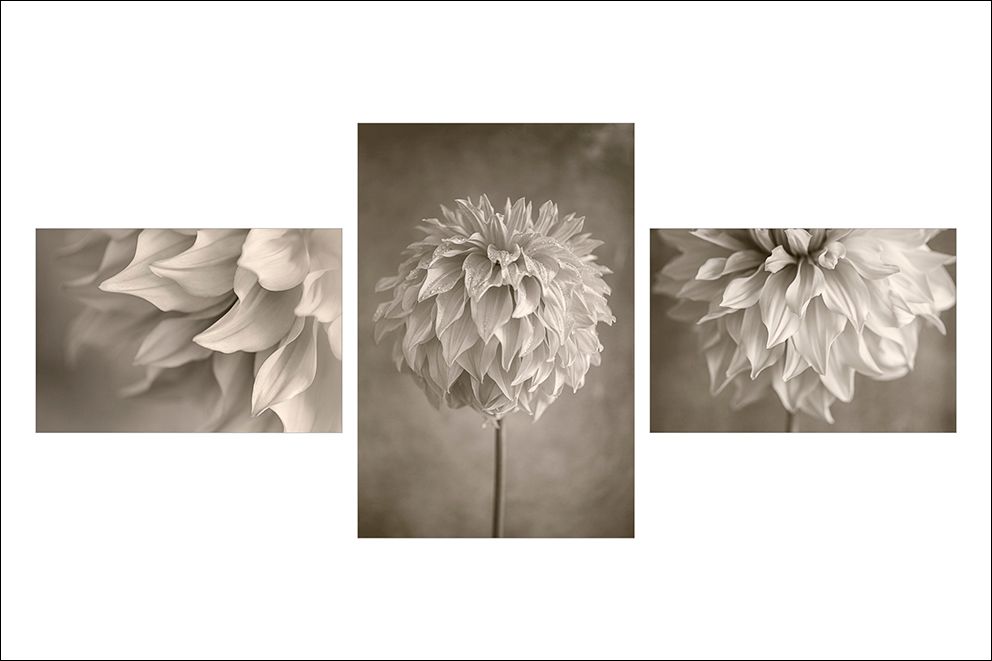 About - Simpson Studios