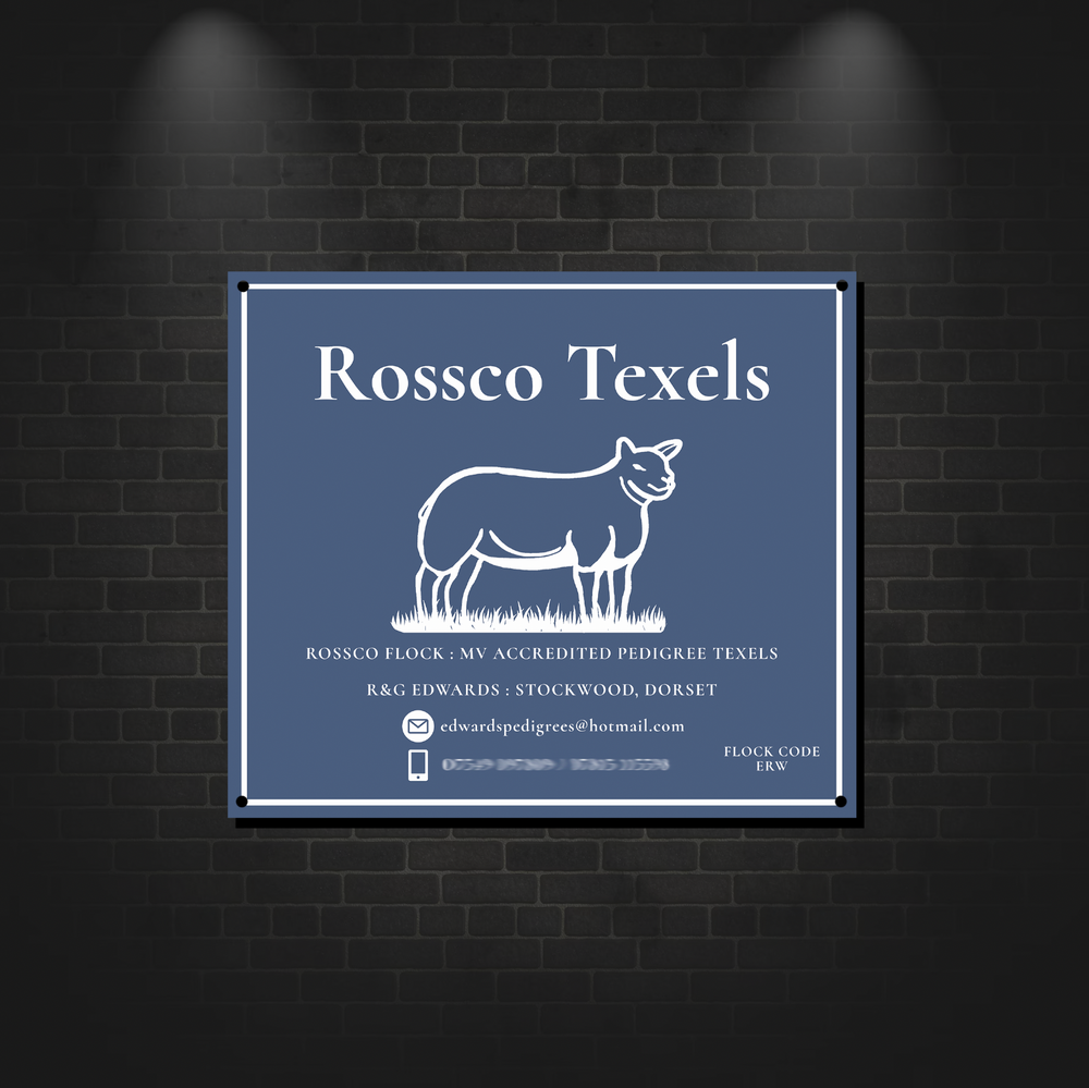 Sheep Banners and Boards - Debbie Walters