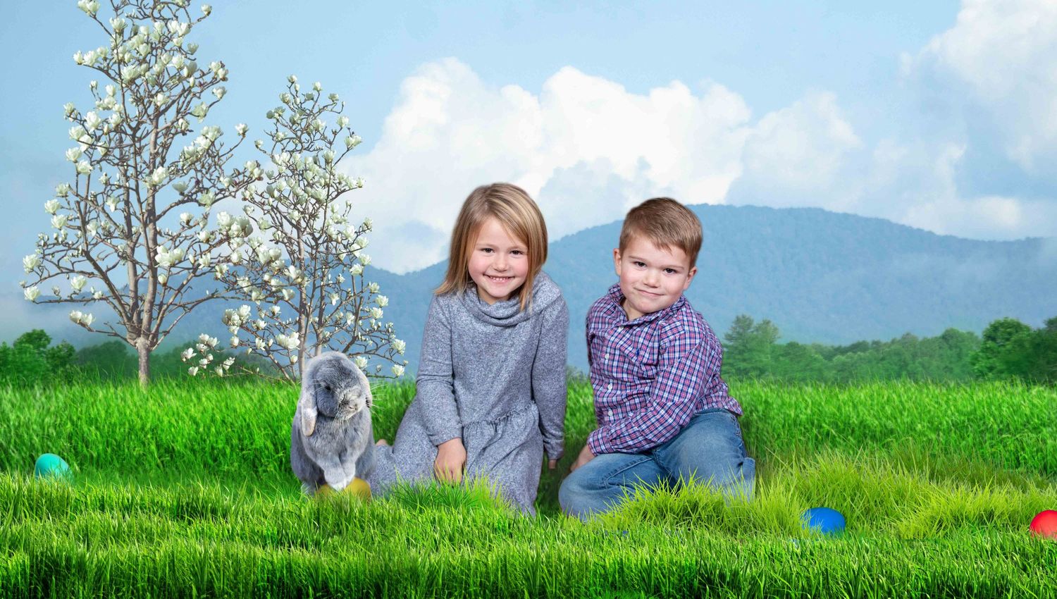 Burch Family Photography