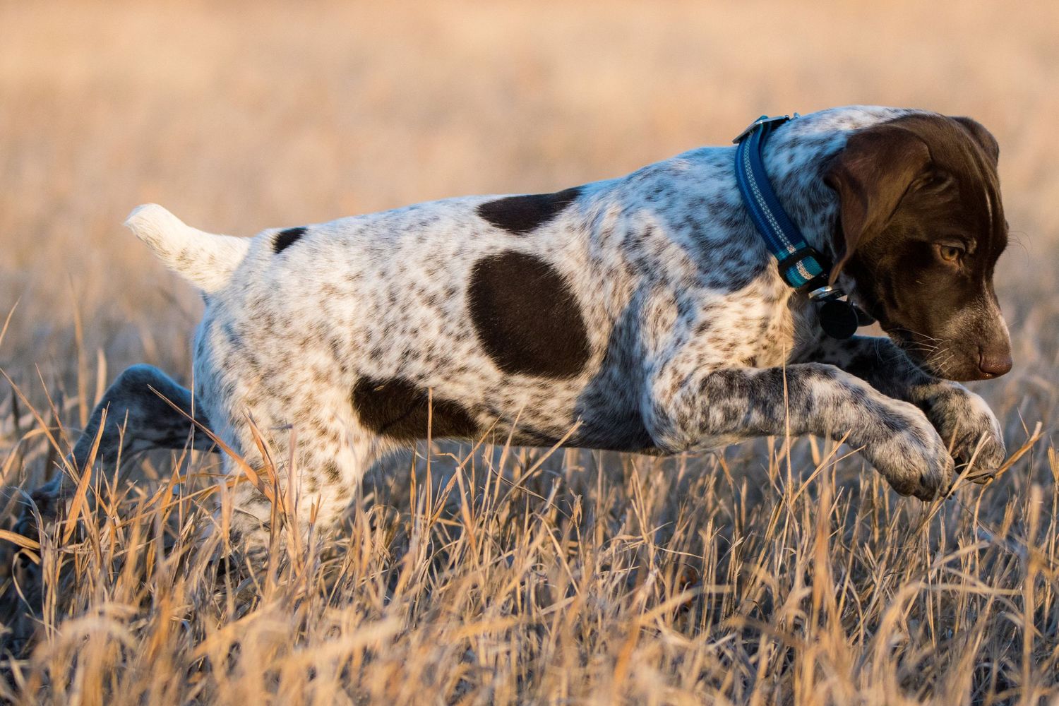 About - Ryan Ritter Photography