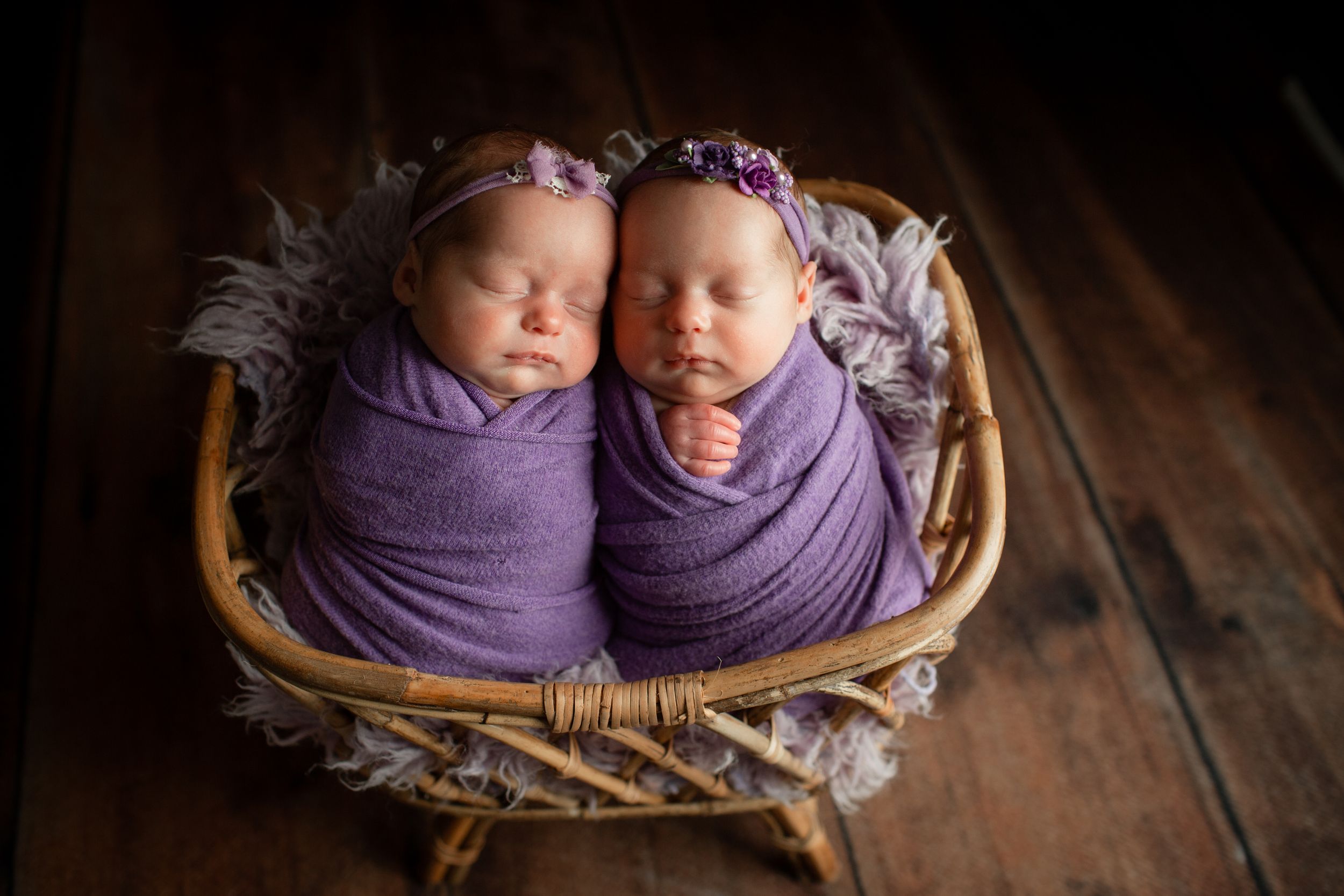 Stephanie DeBolt Photography