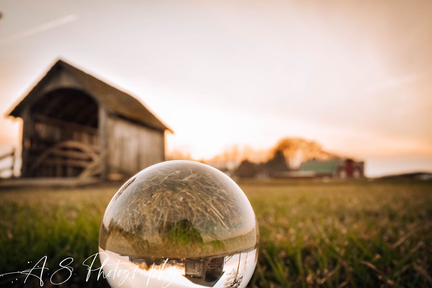 About - A.S. Photography