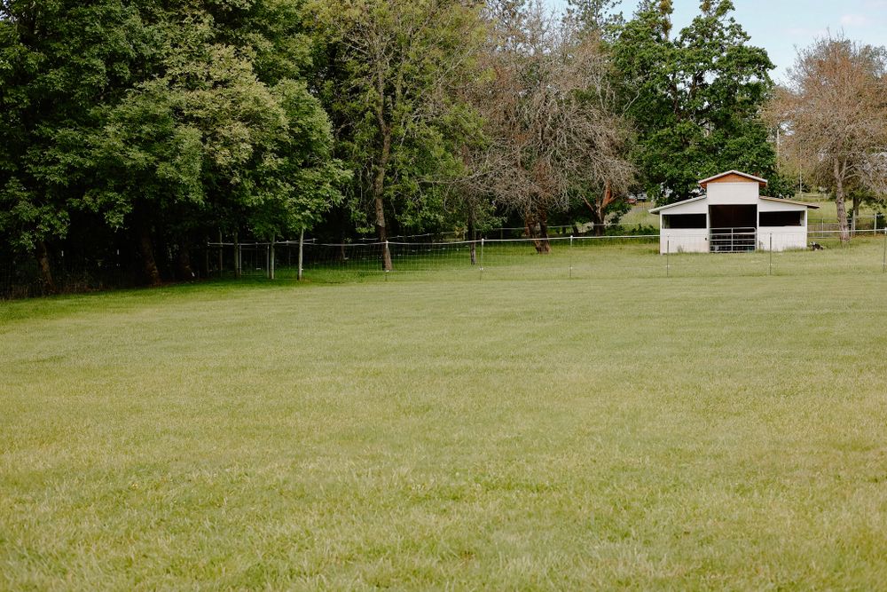 Sungate Place - Stevie Faye Photography