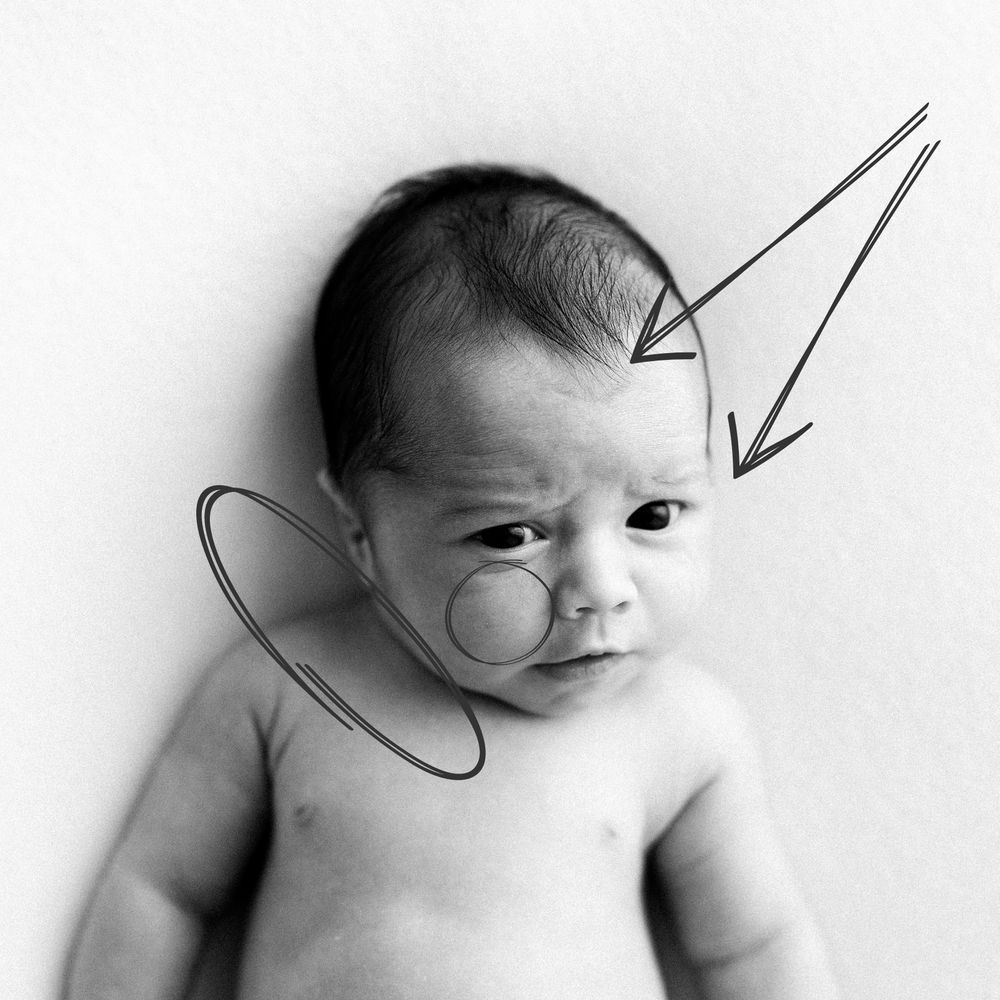 7 tips for DIY Newborn photos - Catherine Smith Photography | Hamilton ...