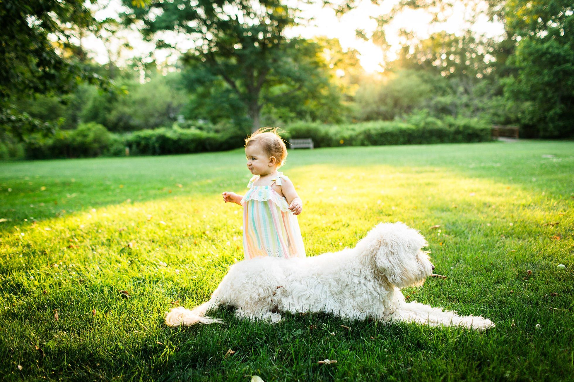 Geneve Rege Photography - Western MA Photographer - Shelburne Falls ...