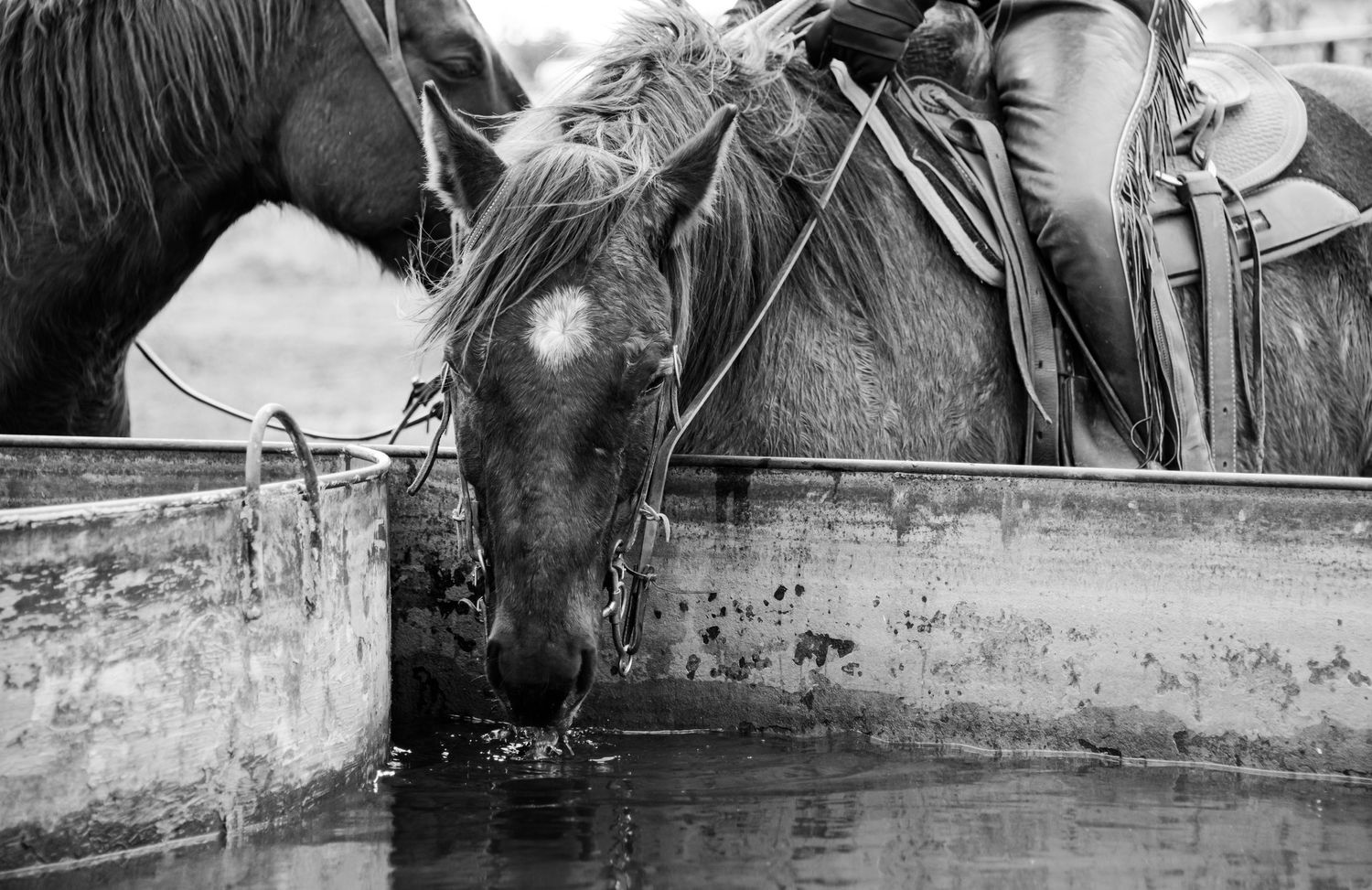 Ranches - Beth Mitchell Photography