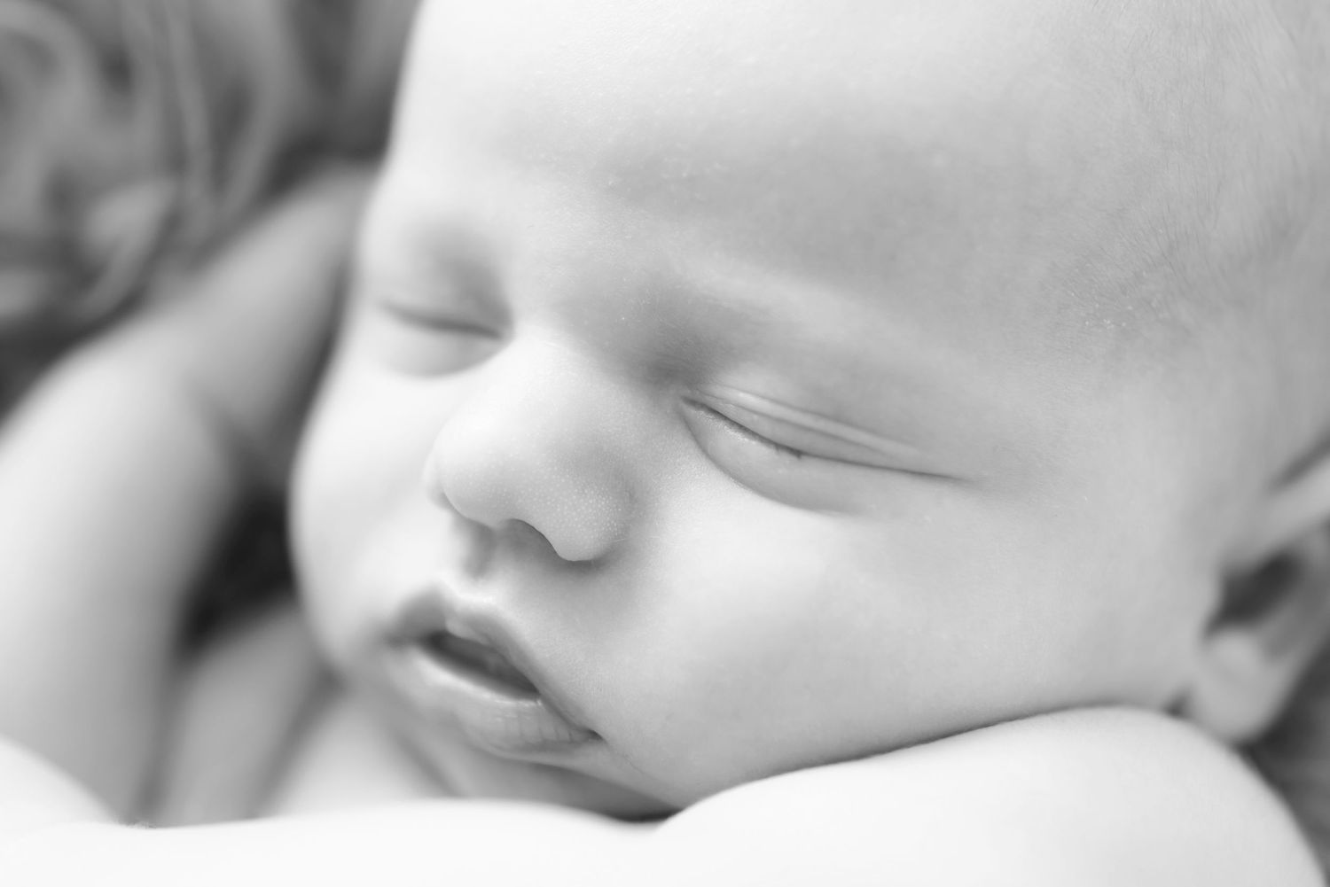 Contact - CL Photography