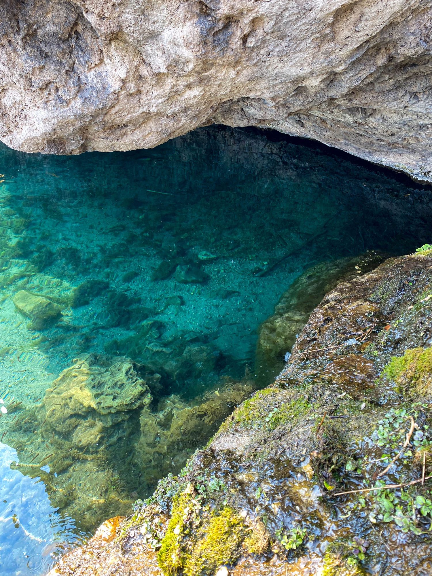 Flow Sessions - Shayna Adams Photography & Design LLC