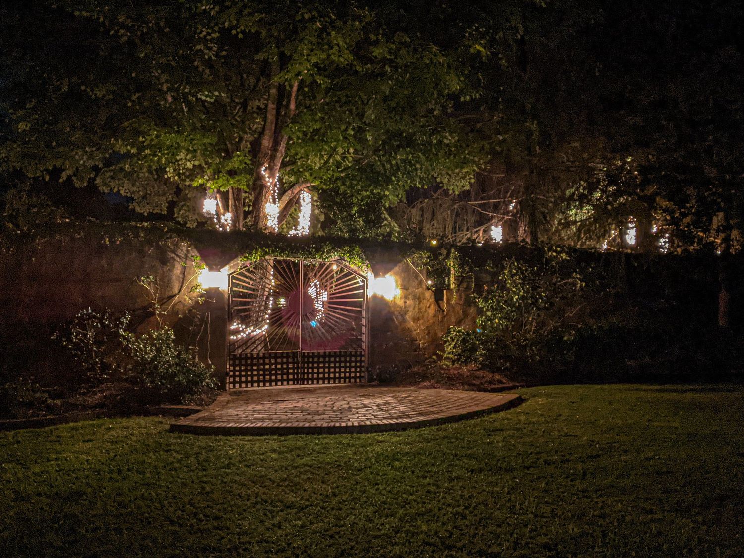 Events - The Leaning Tree