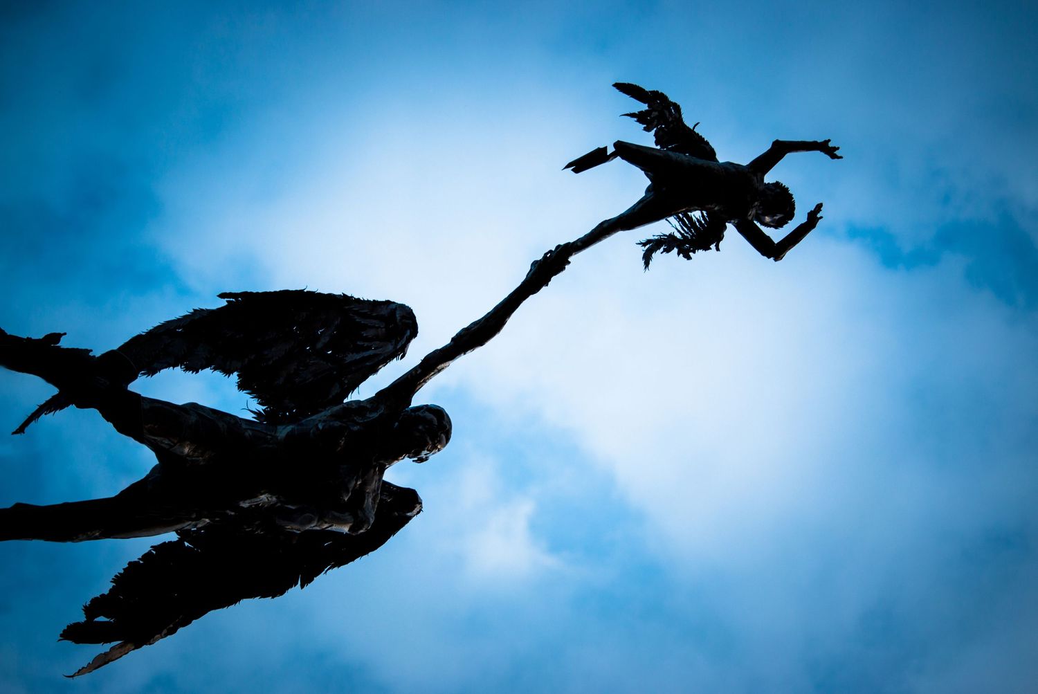 Blue Corvus Photography