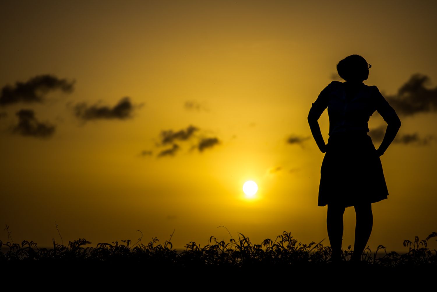 About - Artisans Studio LLC