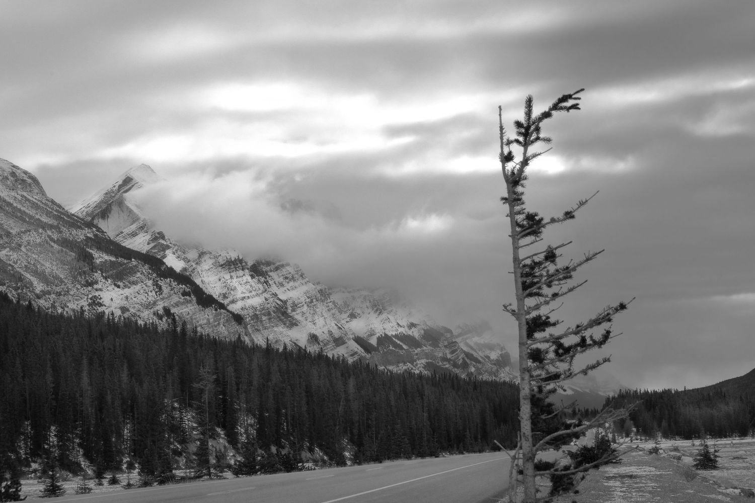Alberta - Tauqir Shah Photography