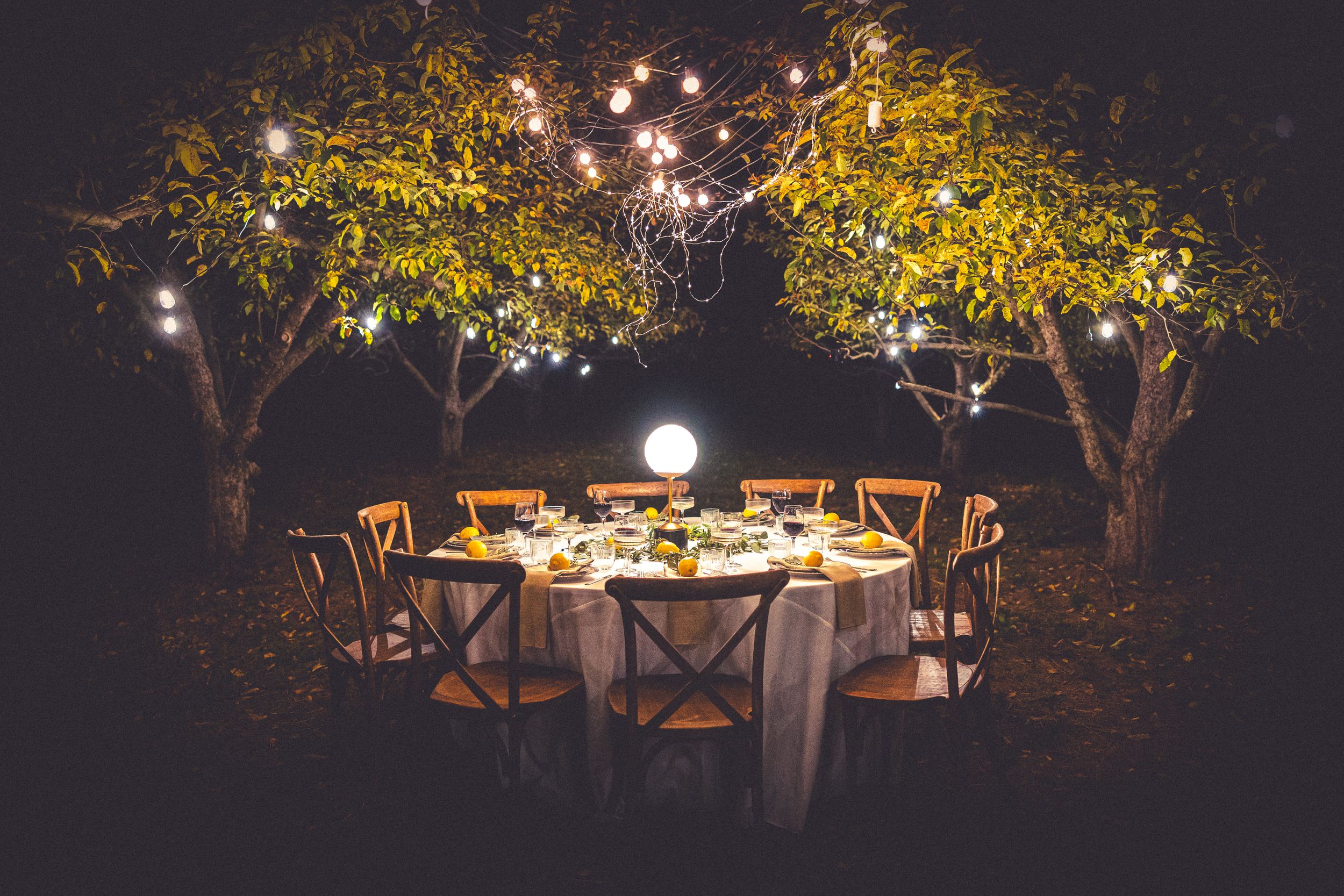 Vineyards + Orchards - Someplace Upstate